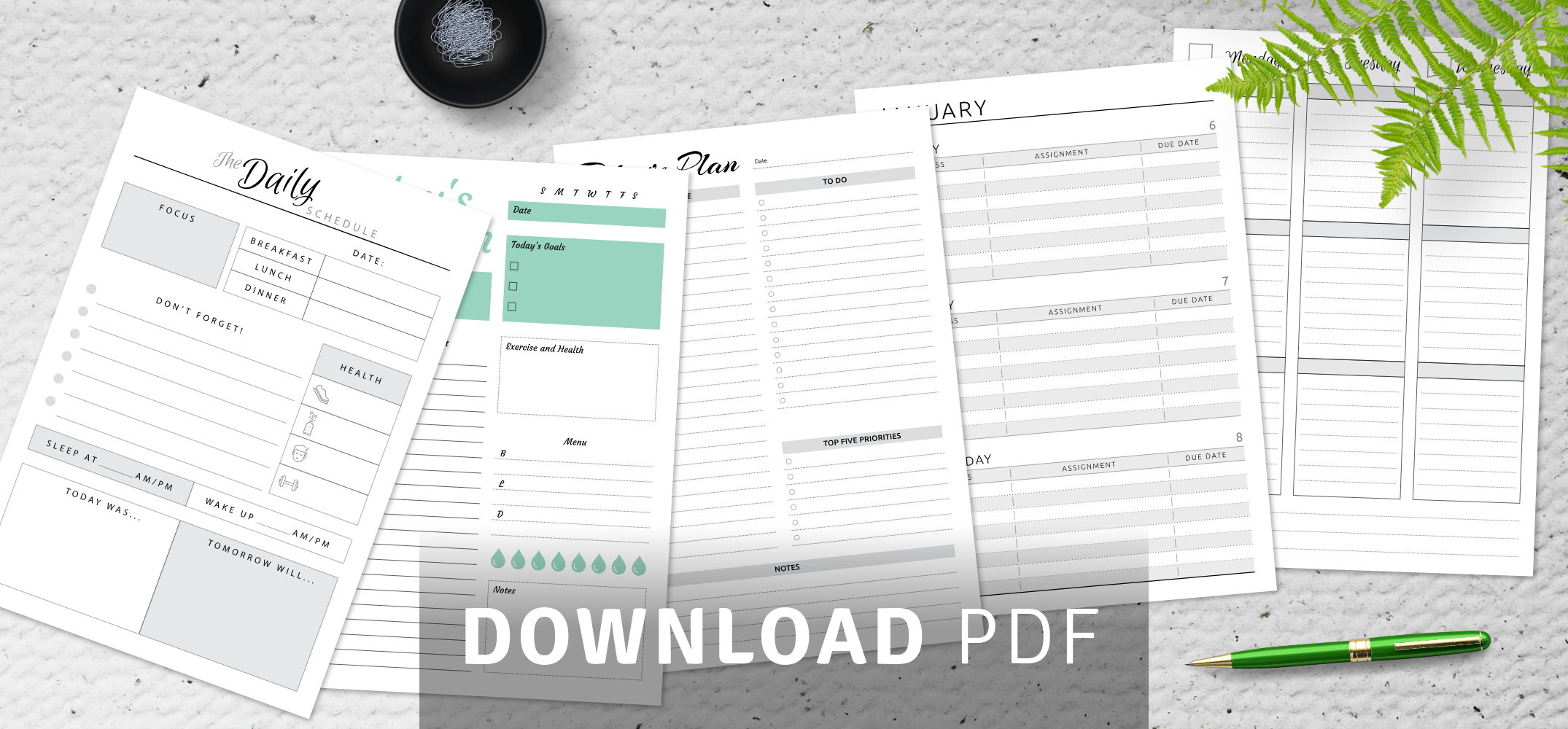 Daily timetable template - Download PDF