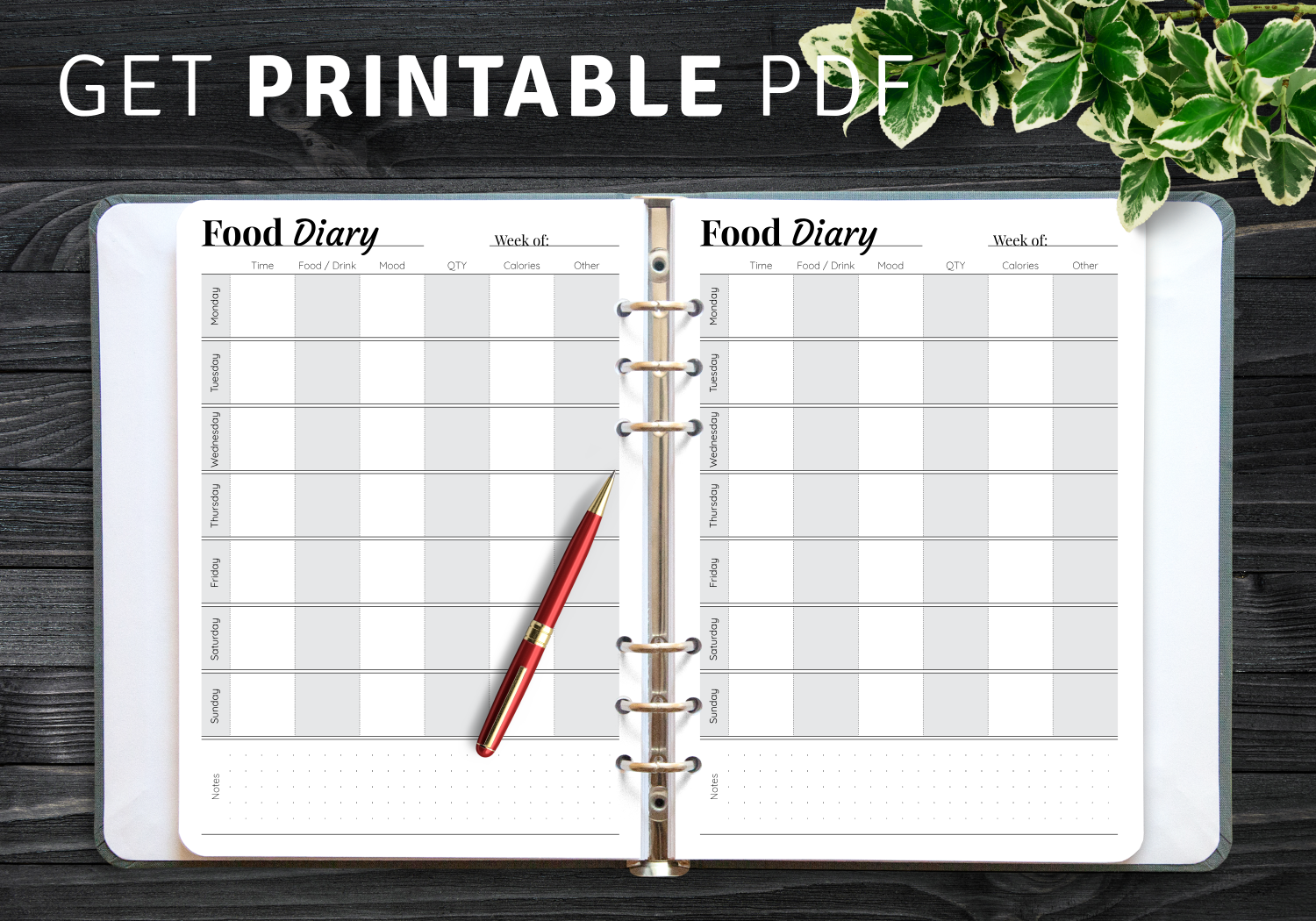 Daily Food Tracker Templates Download PDF