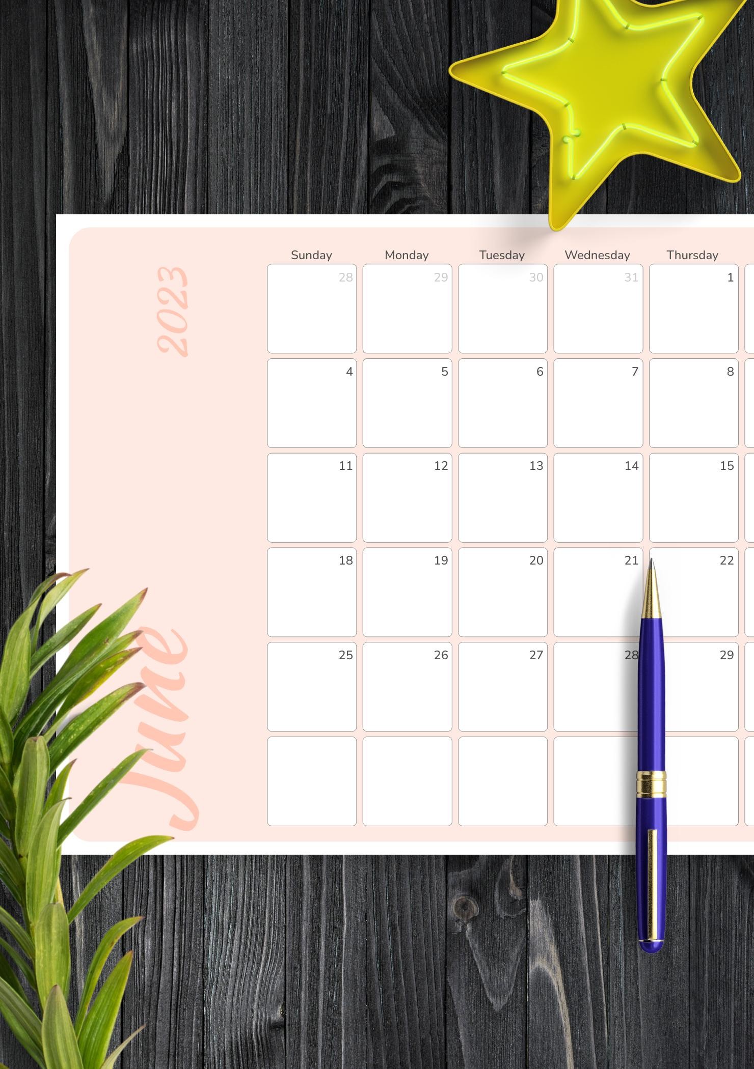 Download Printable Colored Pink Monthly Calendar PDF