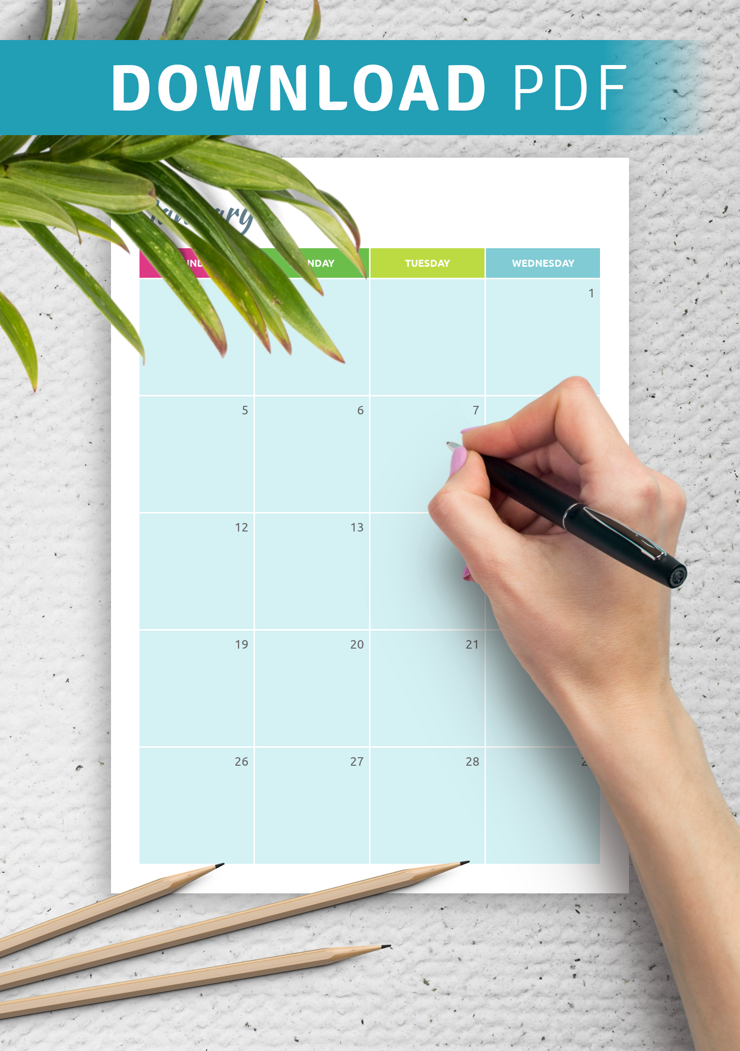 Download Printable Colorful Monthly Calendar PDF