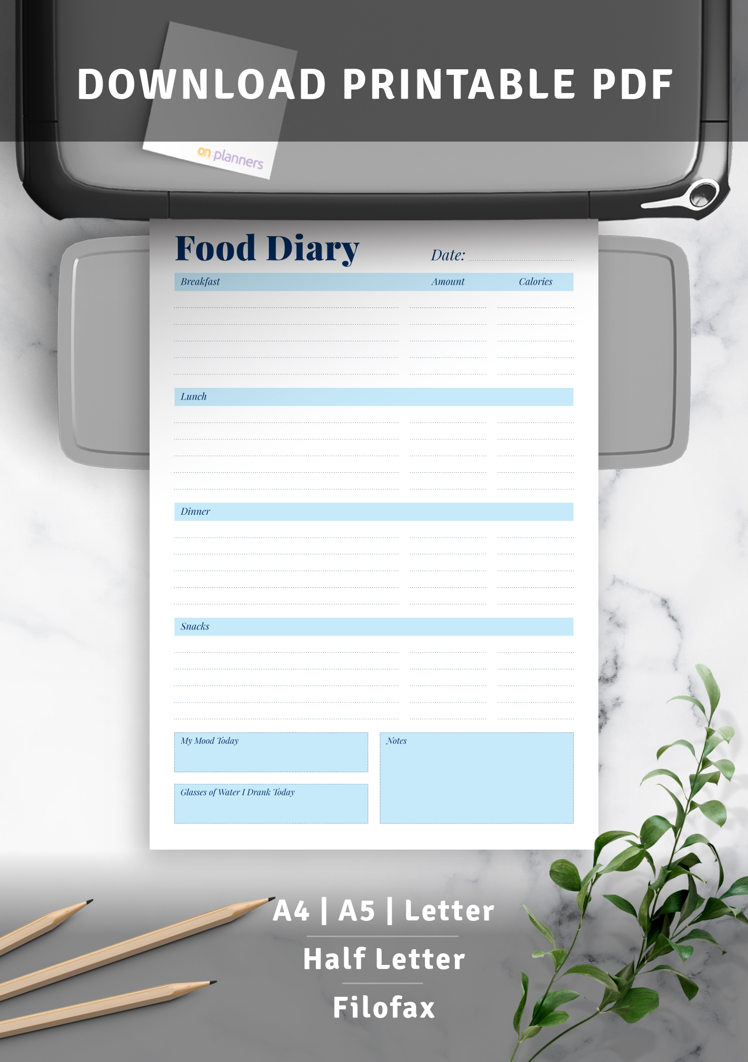 Download Printable Daily Food Diary Template PDF