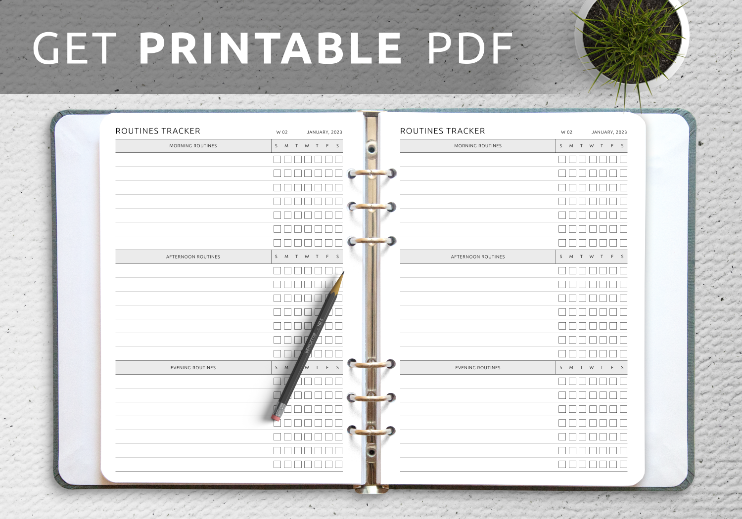 Download Printable Morning Afternoon And Evening Routine Template PDF