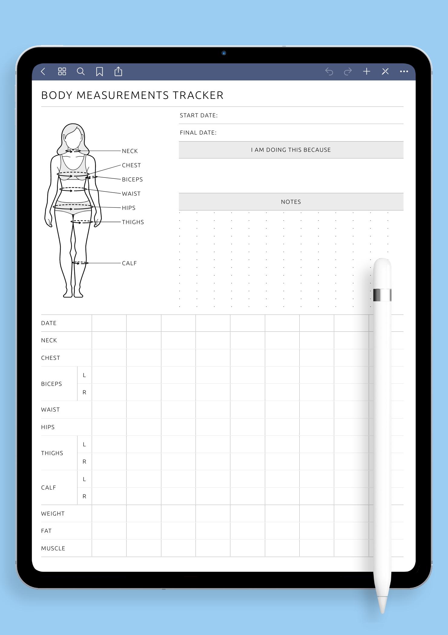 Download Printable Body Measurement Tracker Female PDF