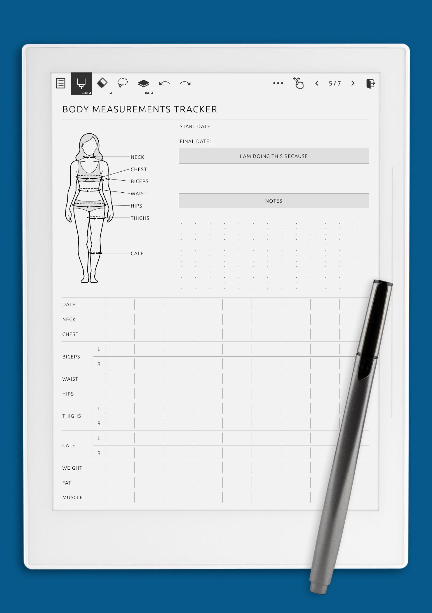 Download Printable Body Measurement Tracker Female PDF