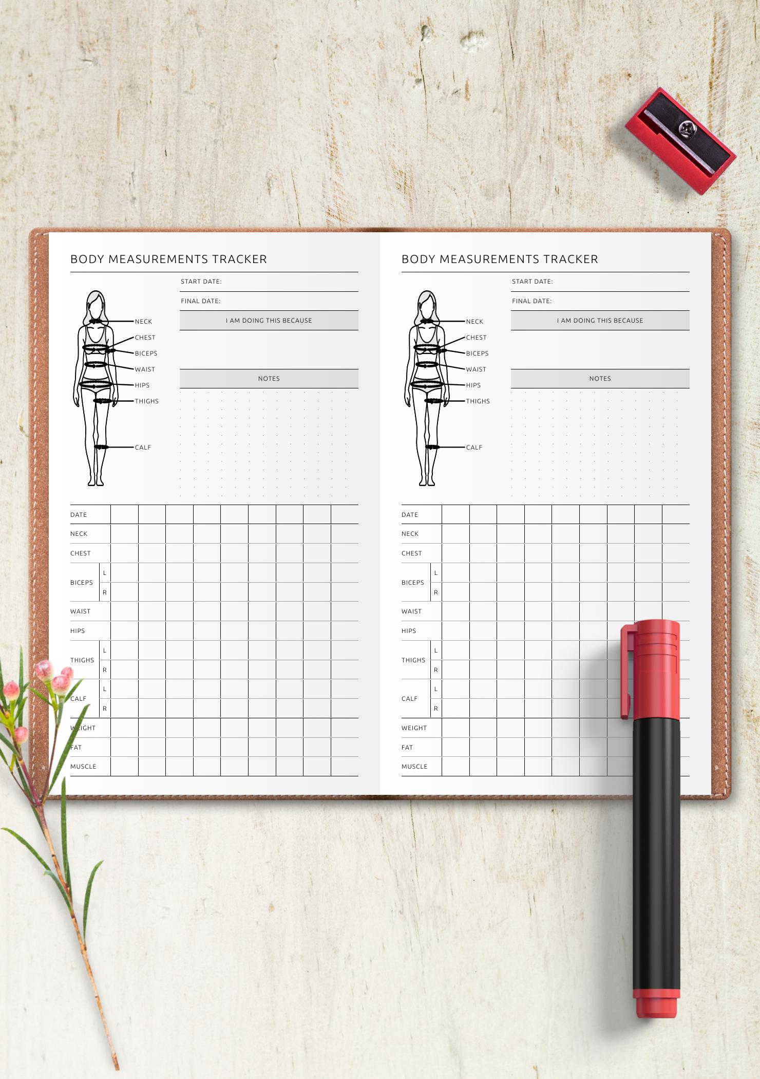 Download Printable Body Measurement Tracker Female PDF