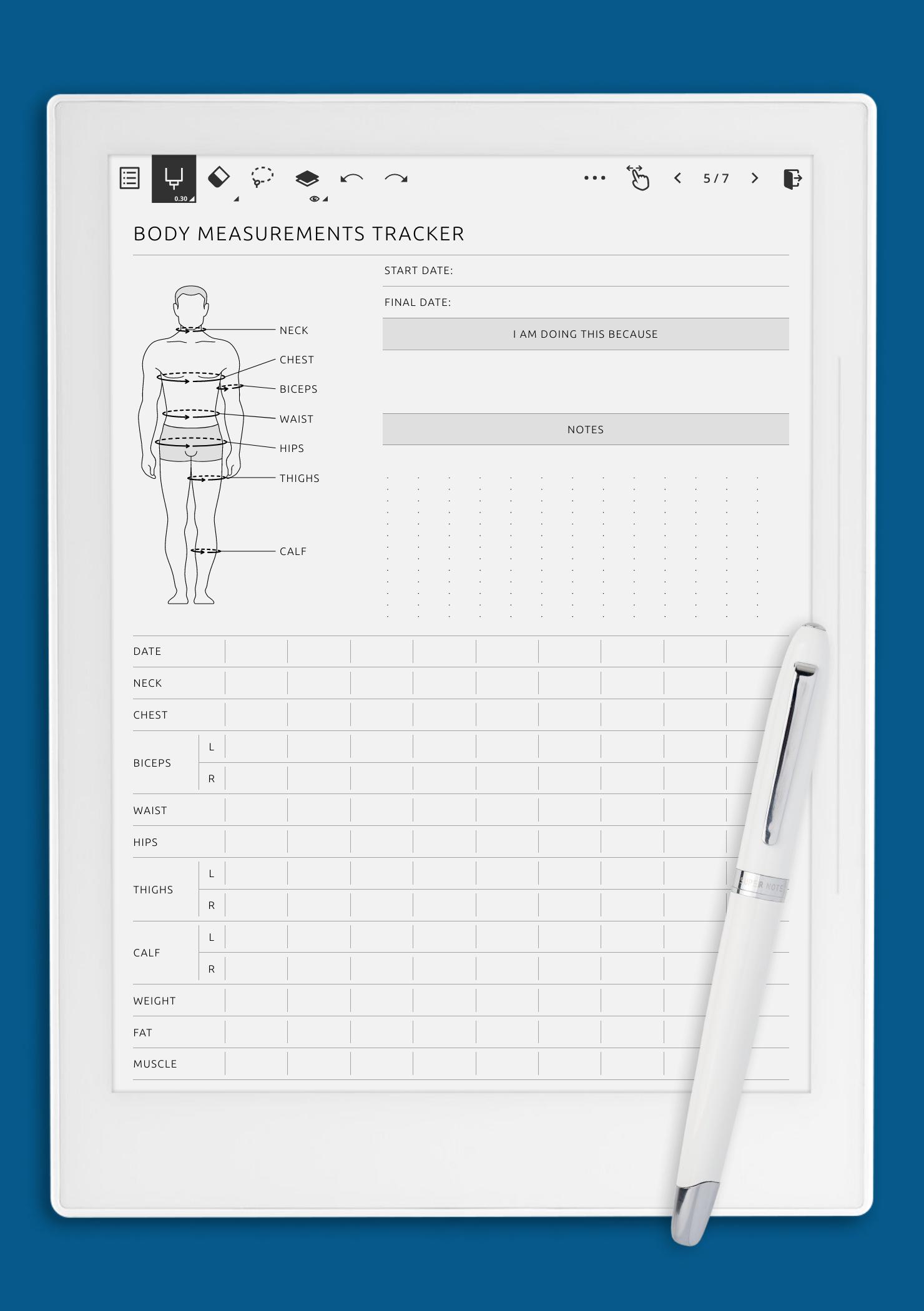 Download Printable Body Measurement Tracker Male PDF
