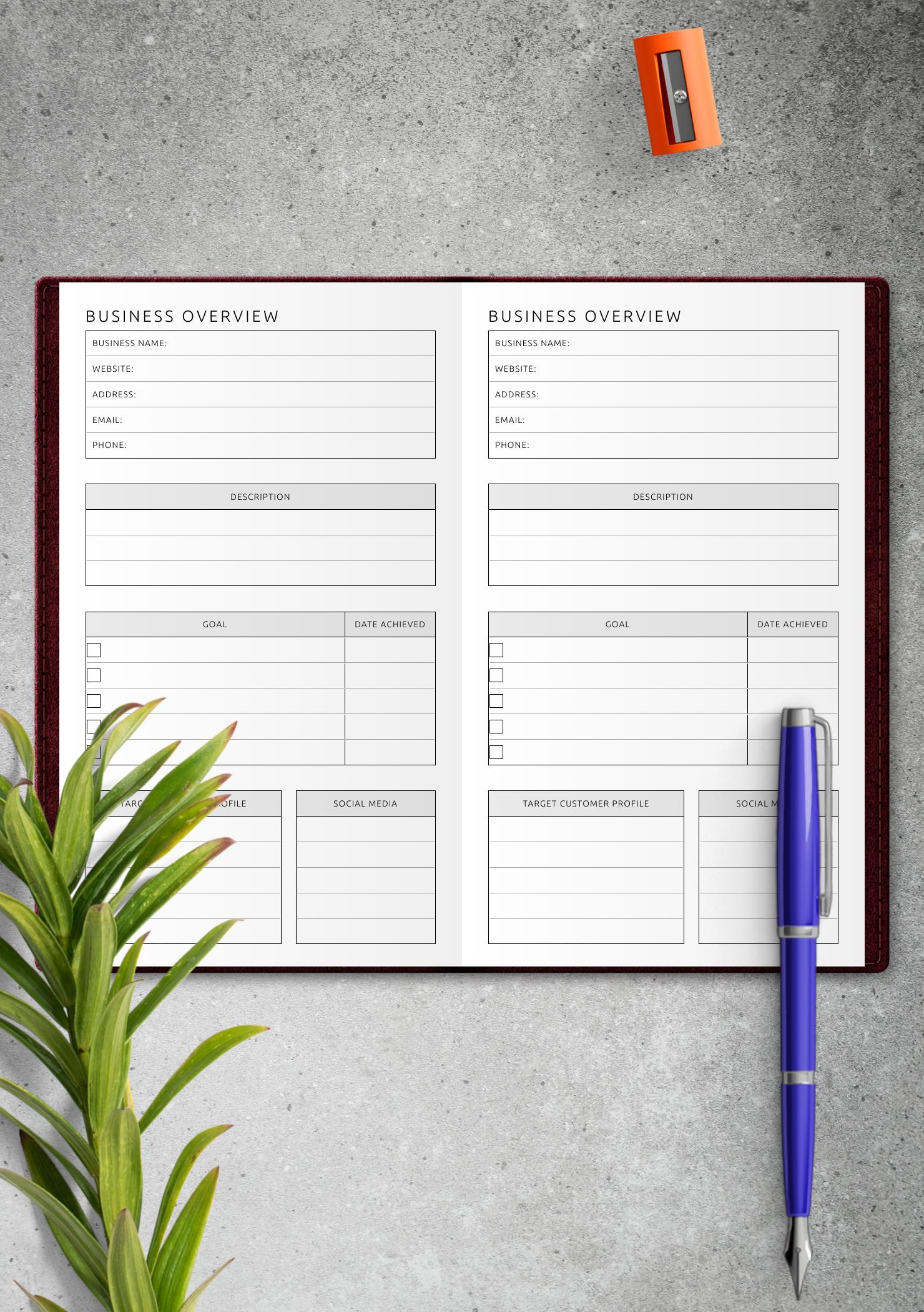 Download Printable Business Overview Template PDF