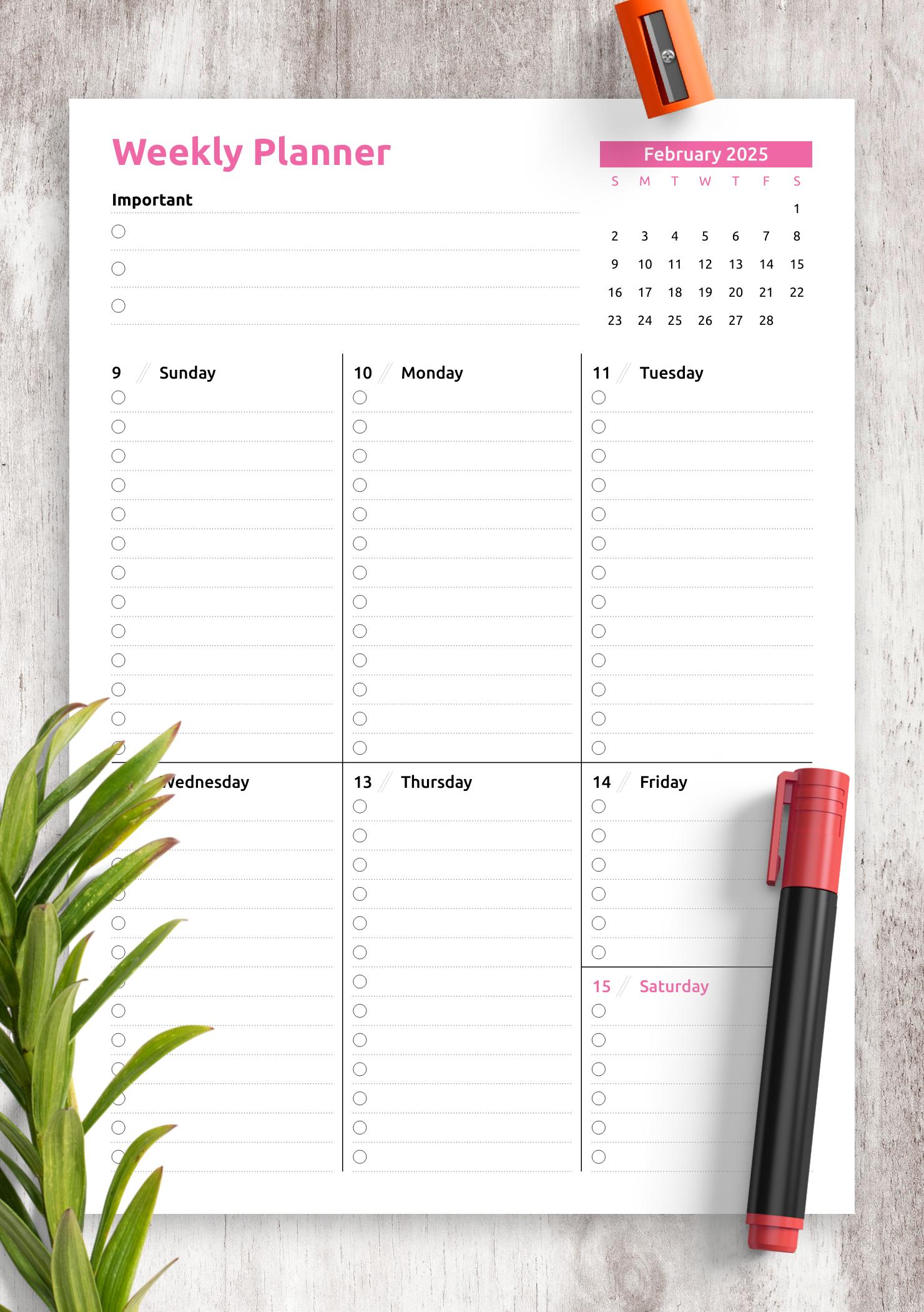 Download Printable Colored one-page weekly planner PDF