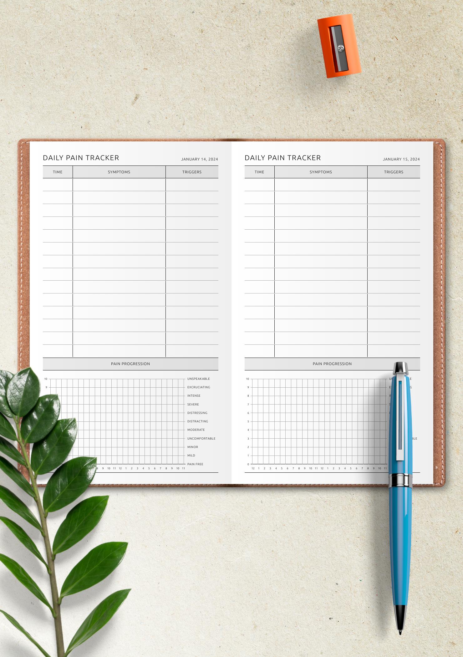 Download Printable Daily Pain Tracker Template PDF