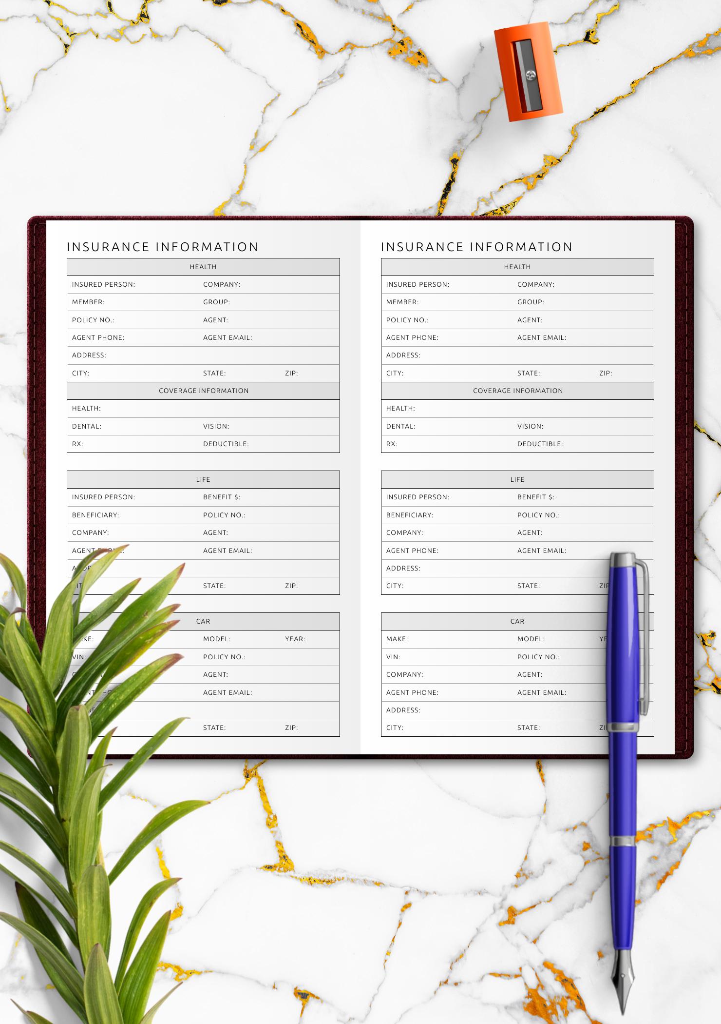 Download Printable Extended Insurance Information Template PDF