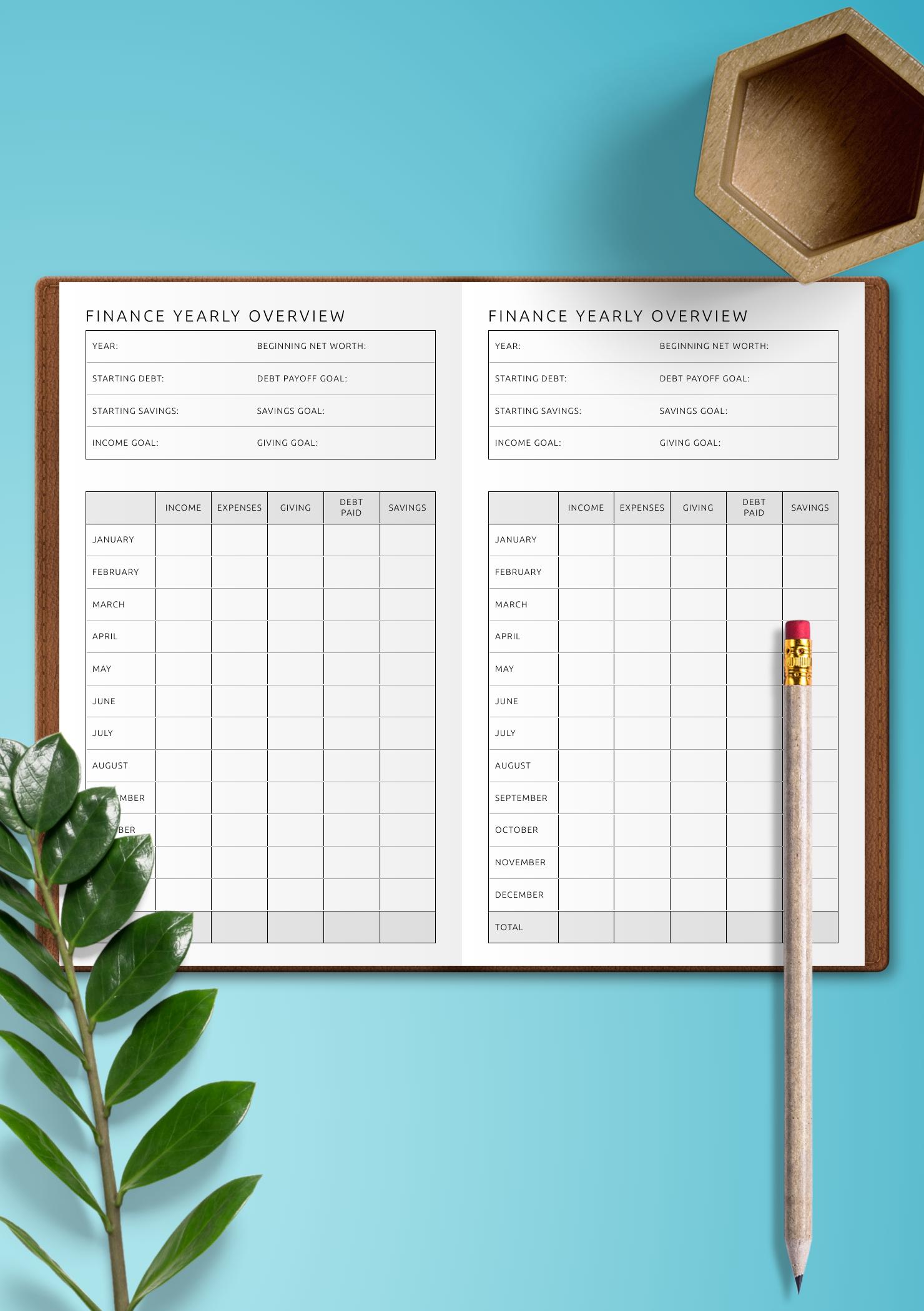 Download Printable Finance Yearly Overview Template PDF
