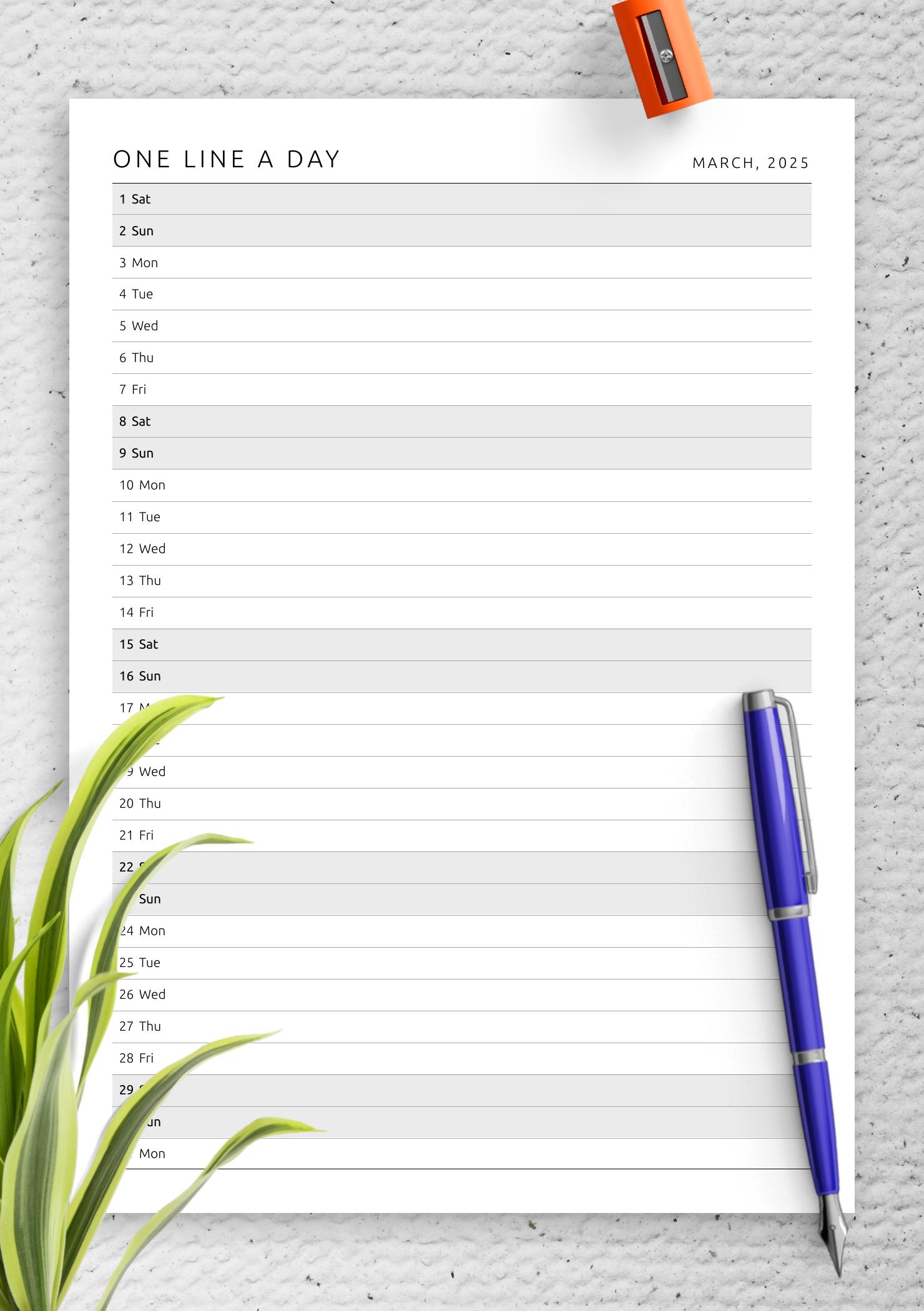 Download Printable One Line a Day Monthly Planner Template PDF