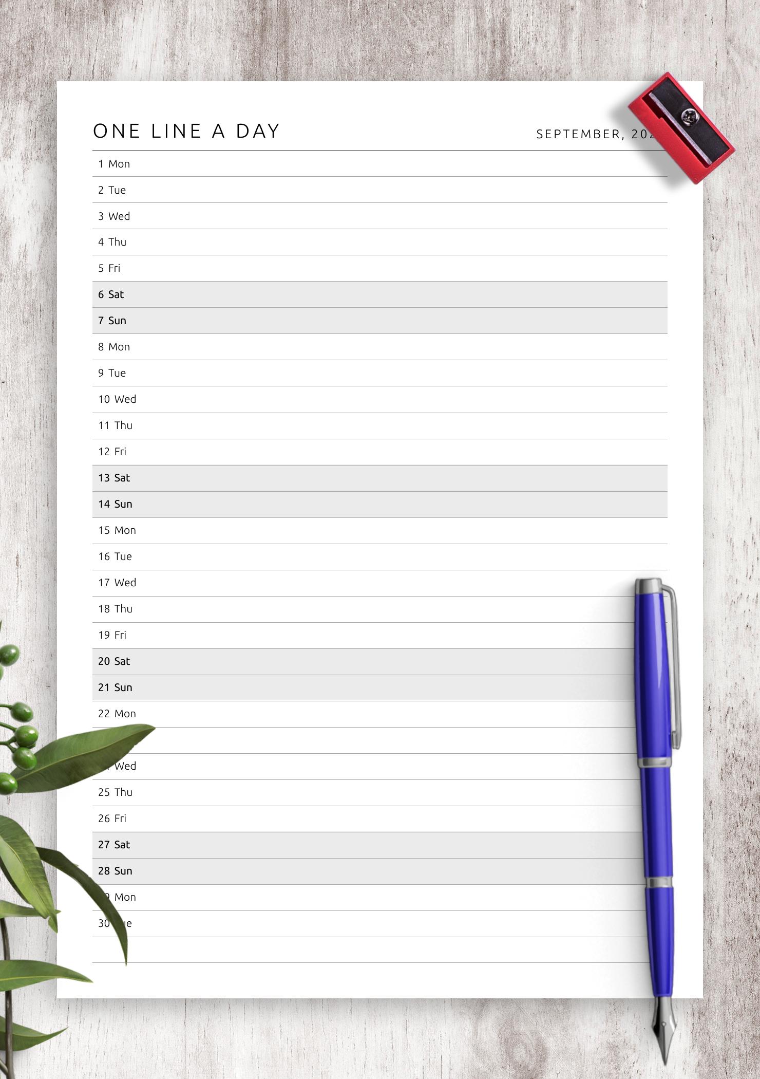 Download Printable One Line a Day Monthly Planner Template PDF