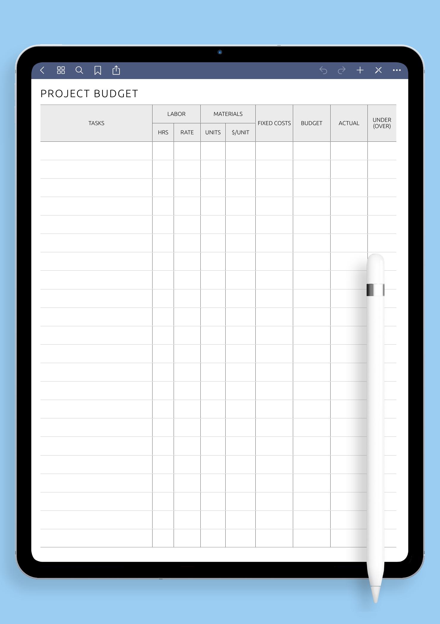 Download Printable Project Budget PDF