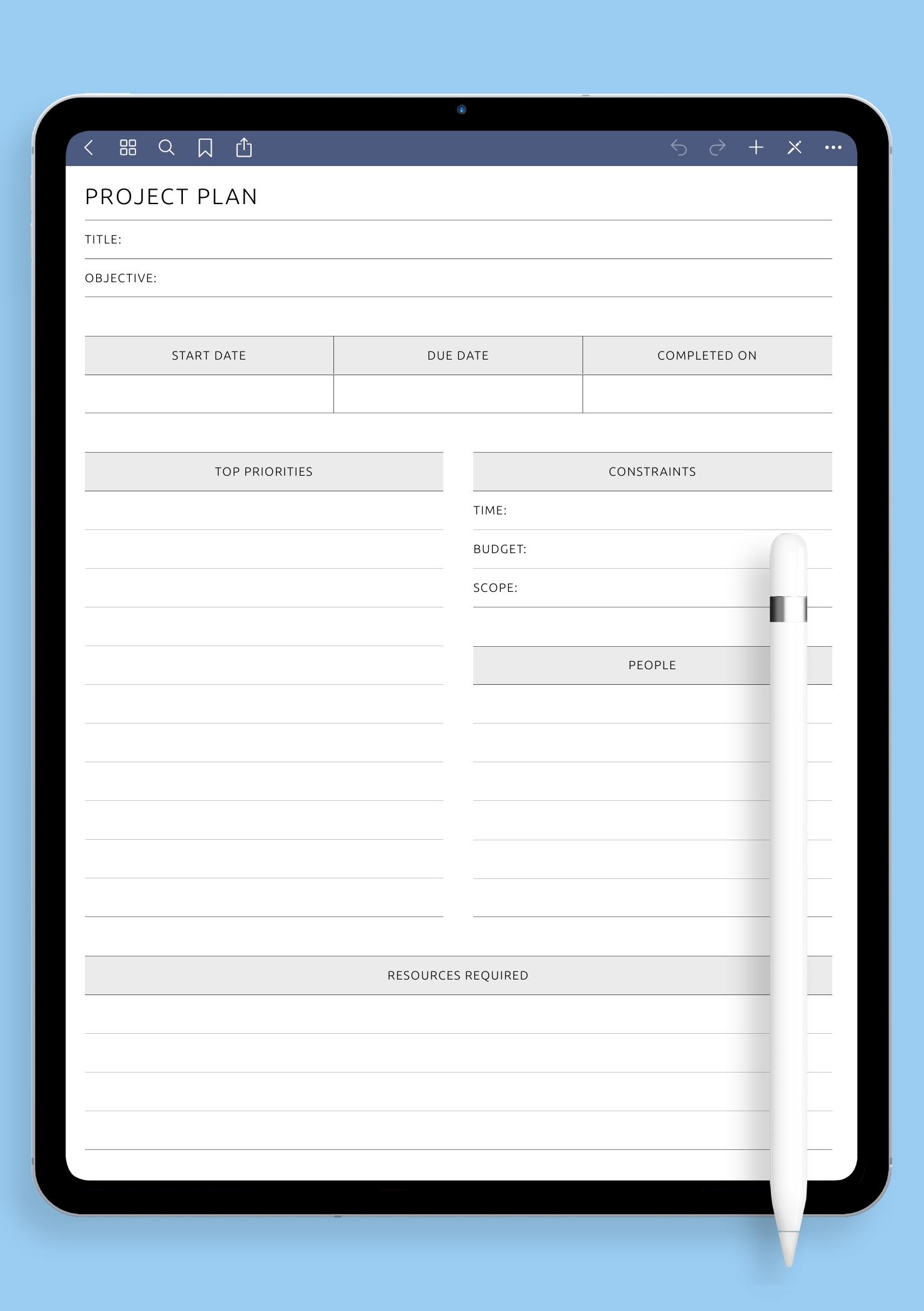 Download Printable Project Plan PDF