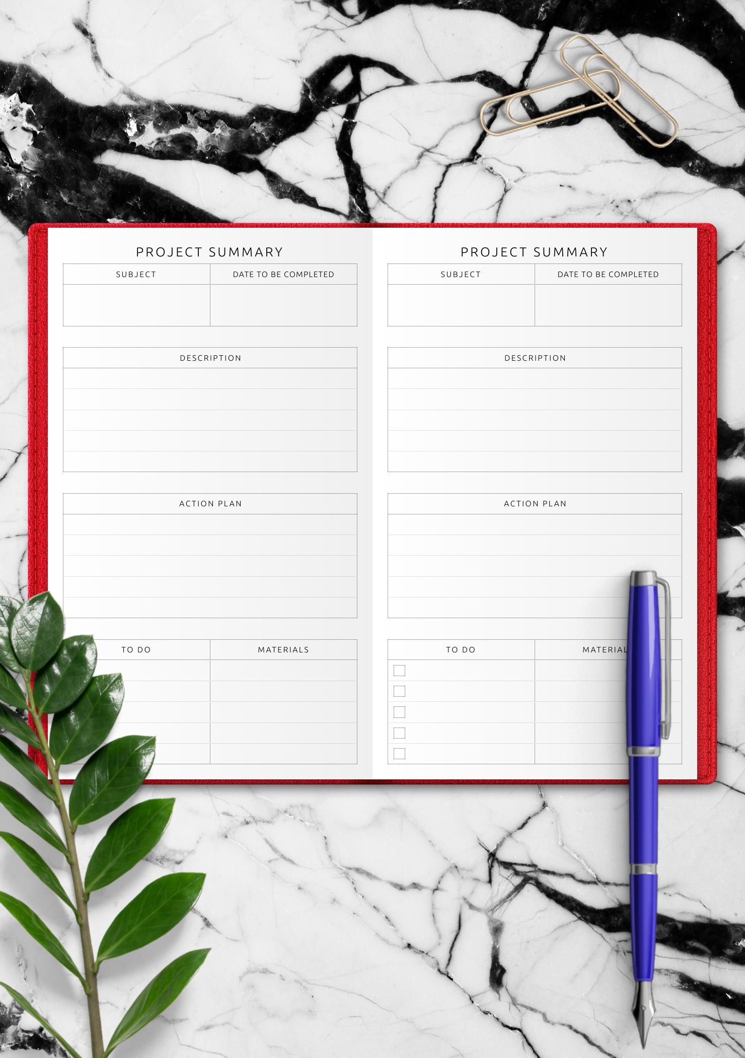 Download Printable Student Project Summary Template PDF