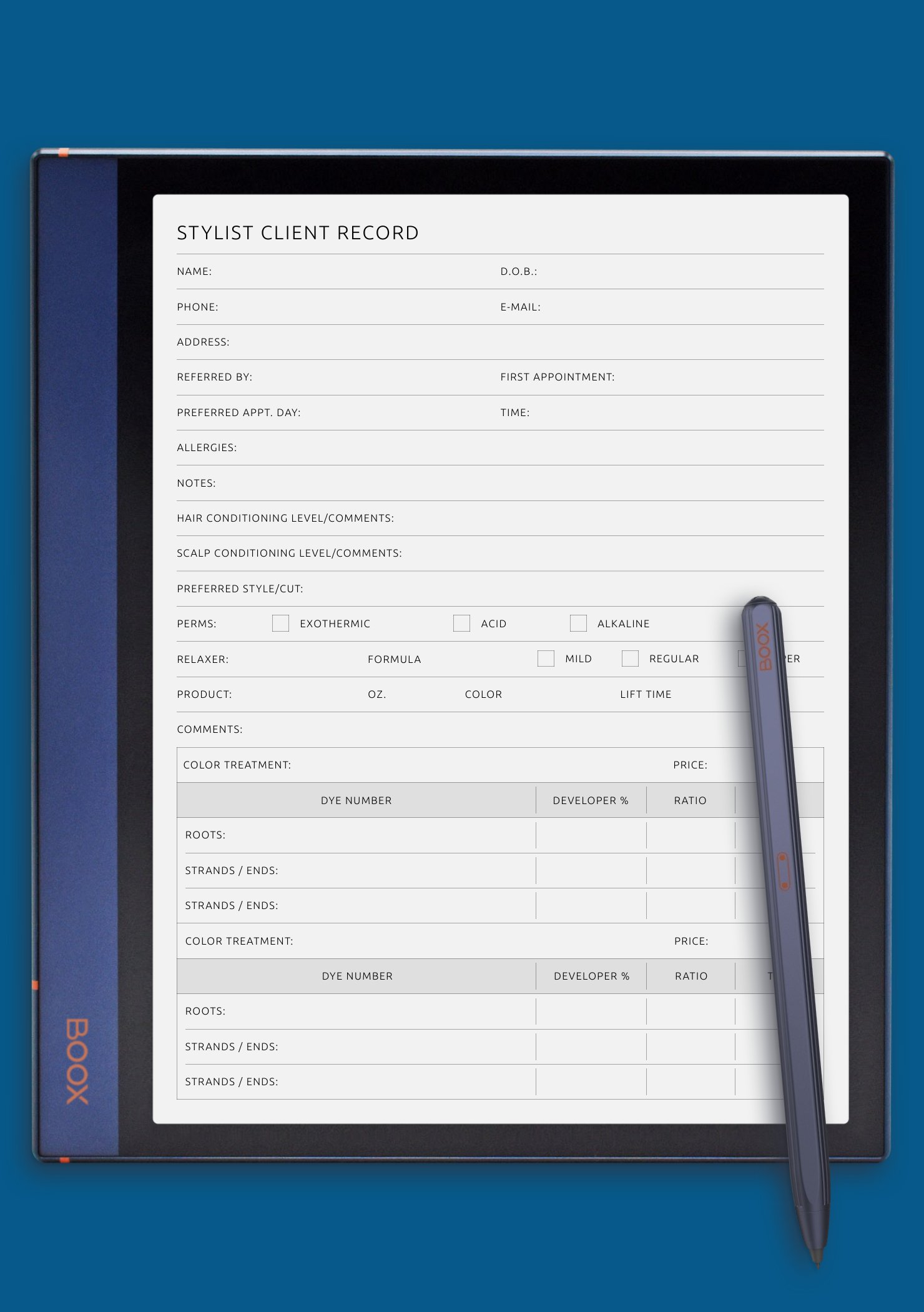 Download Printable Stylist Client Record PDF