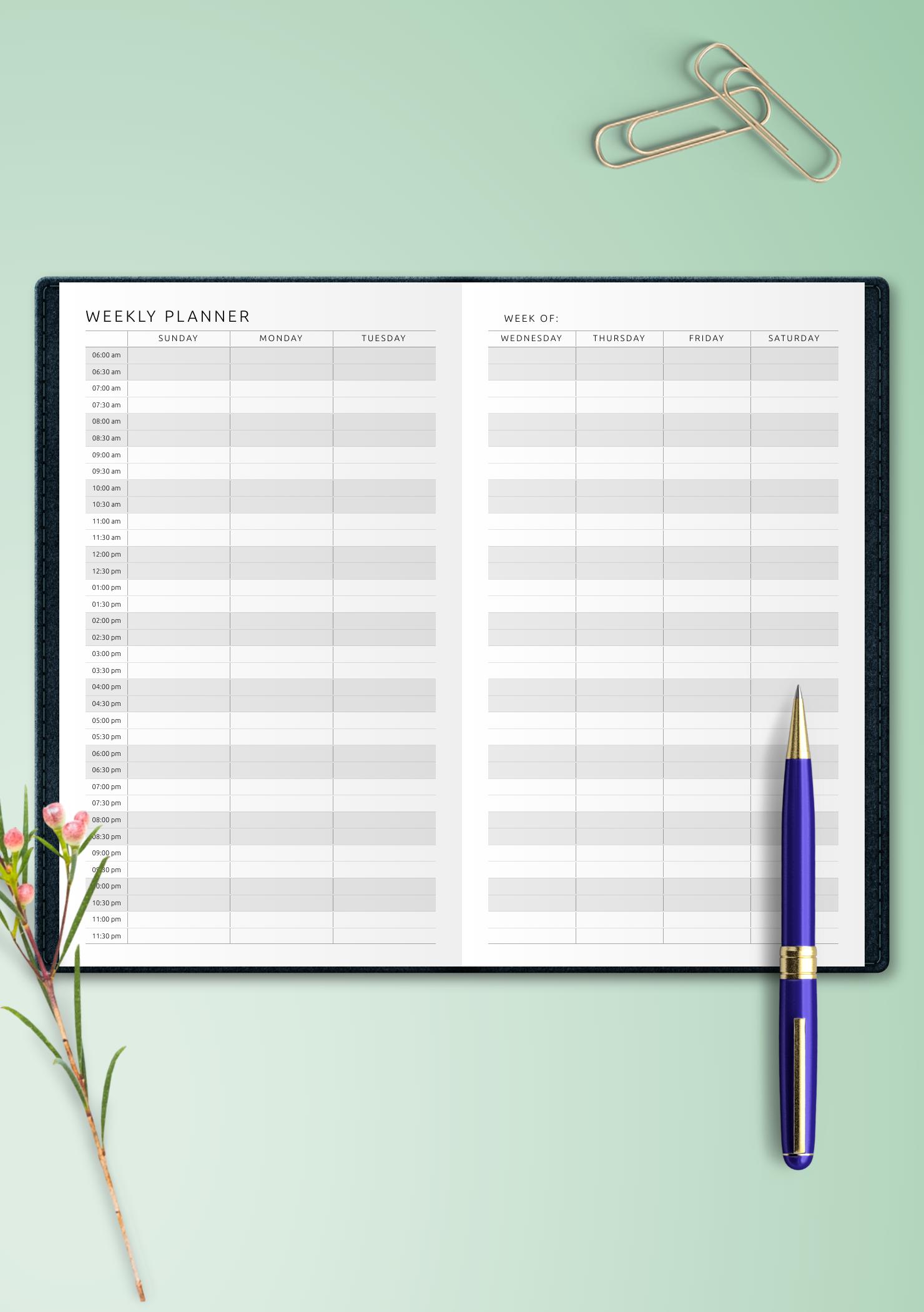 Download Printable Two-page weekly hourly scheduler PDF