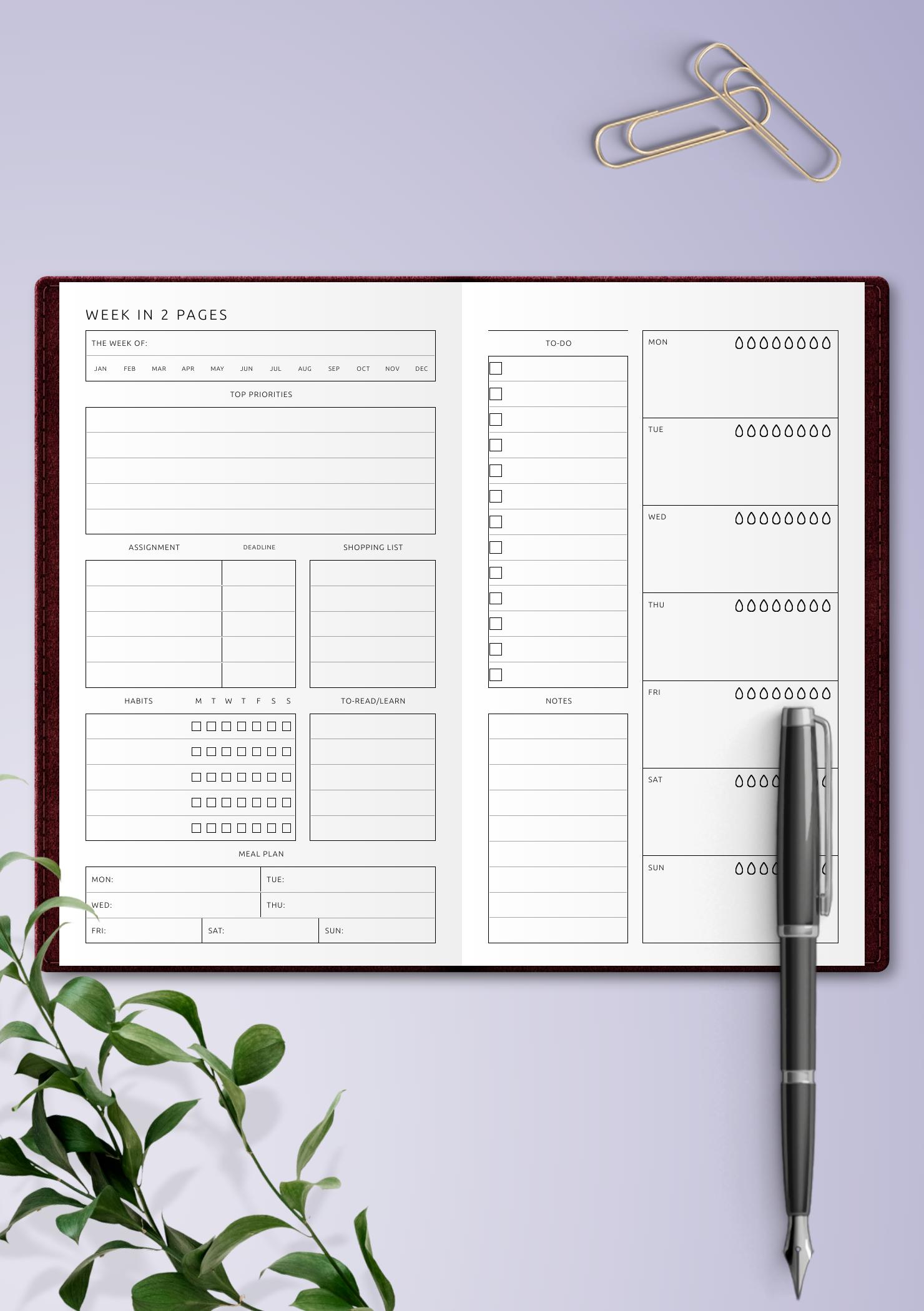 Download Printable Week in 2 Pages Extended Template - Minimalist Style PDF