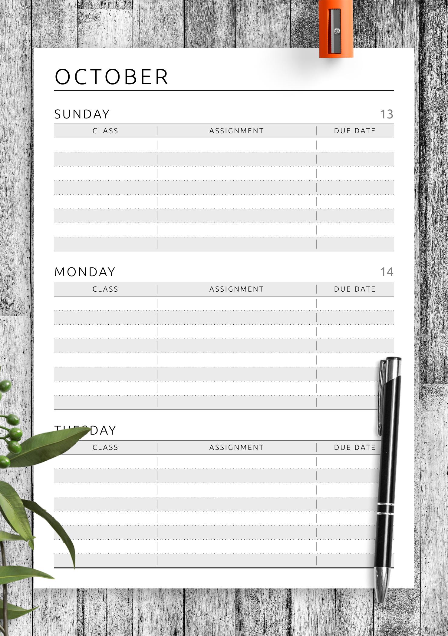 Download Printable Week Schedule - Original Style PDF
