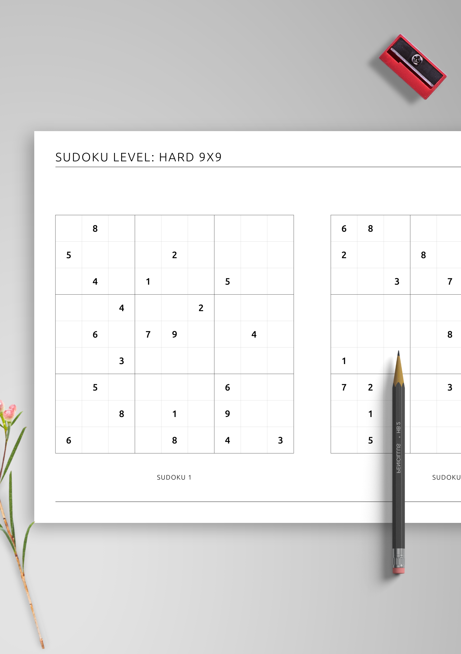 Download Printable 9x9 Hard Sudoku – Horizontal (2 On Page) PDF