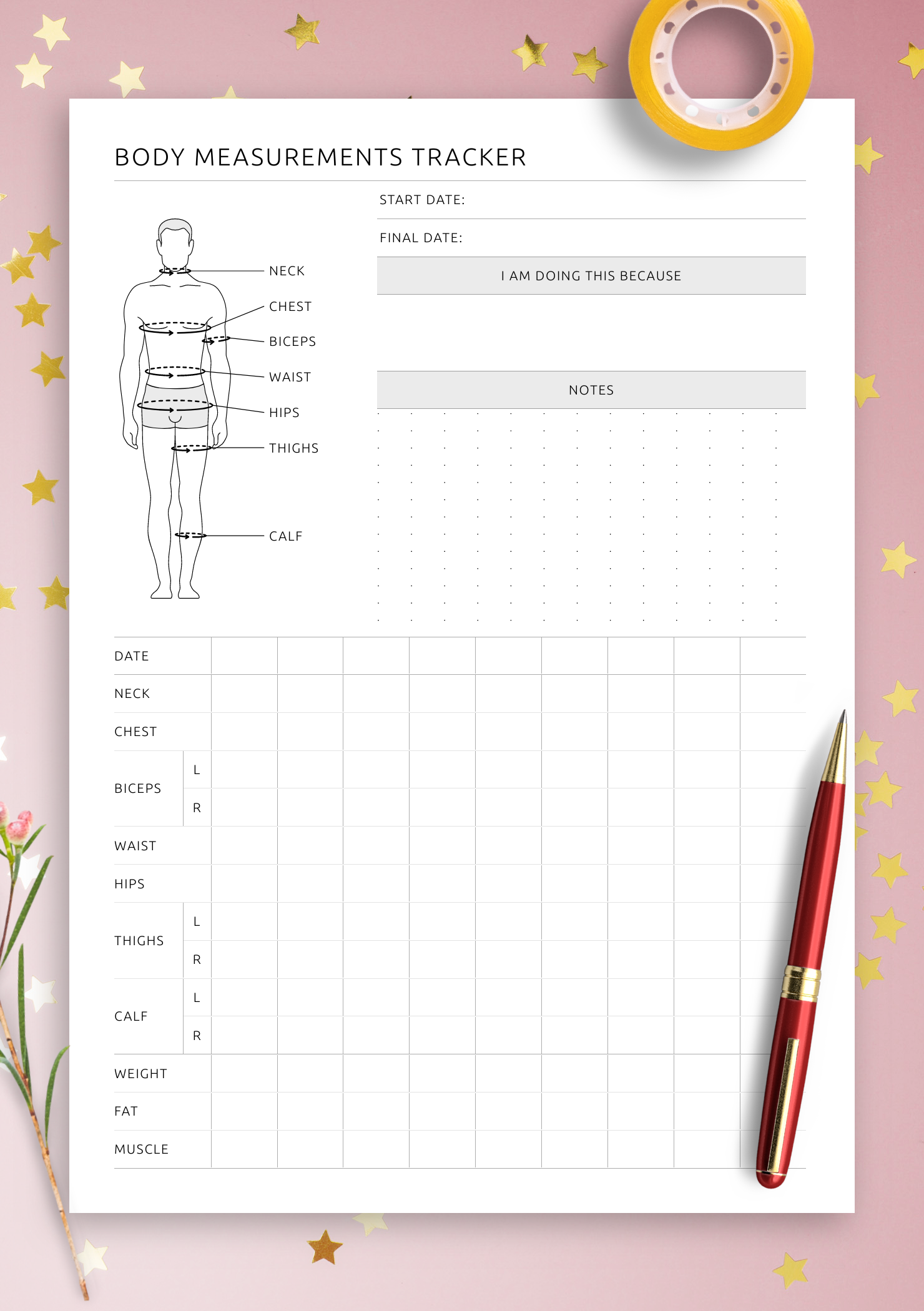 Download Printable Body Measurement Tracker Male PDF