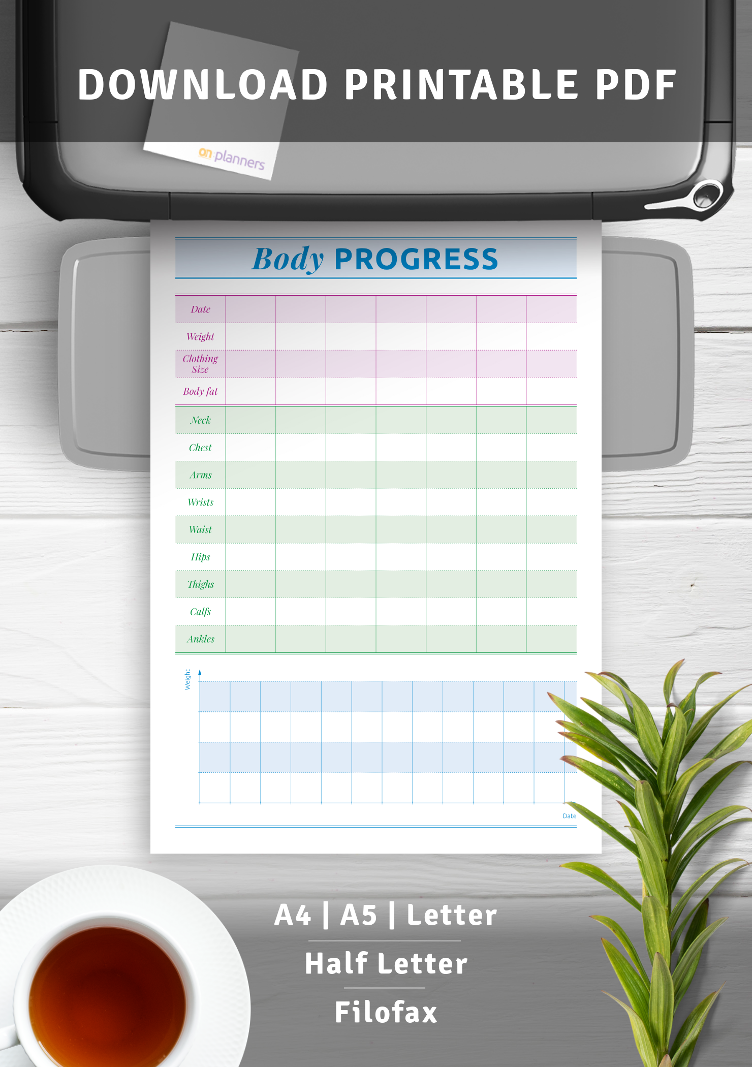 Download Printable Body progress template PDF