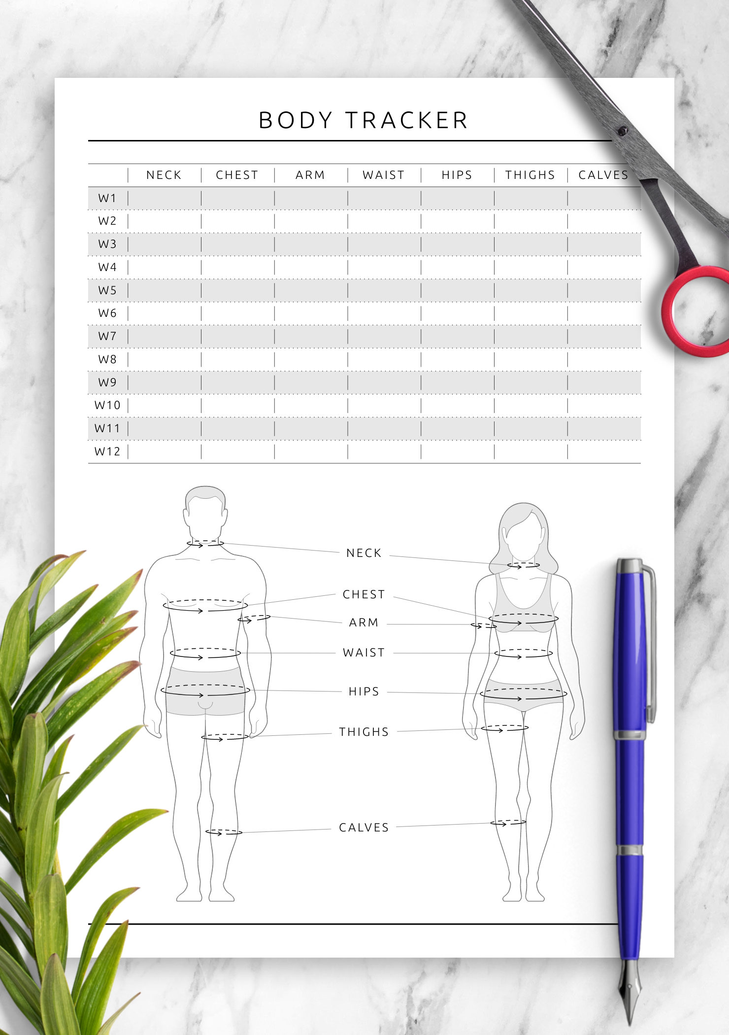 Download Printable Body Tracker Template PDF