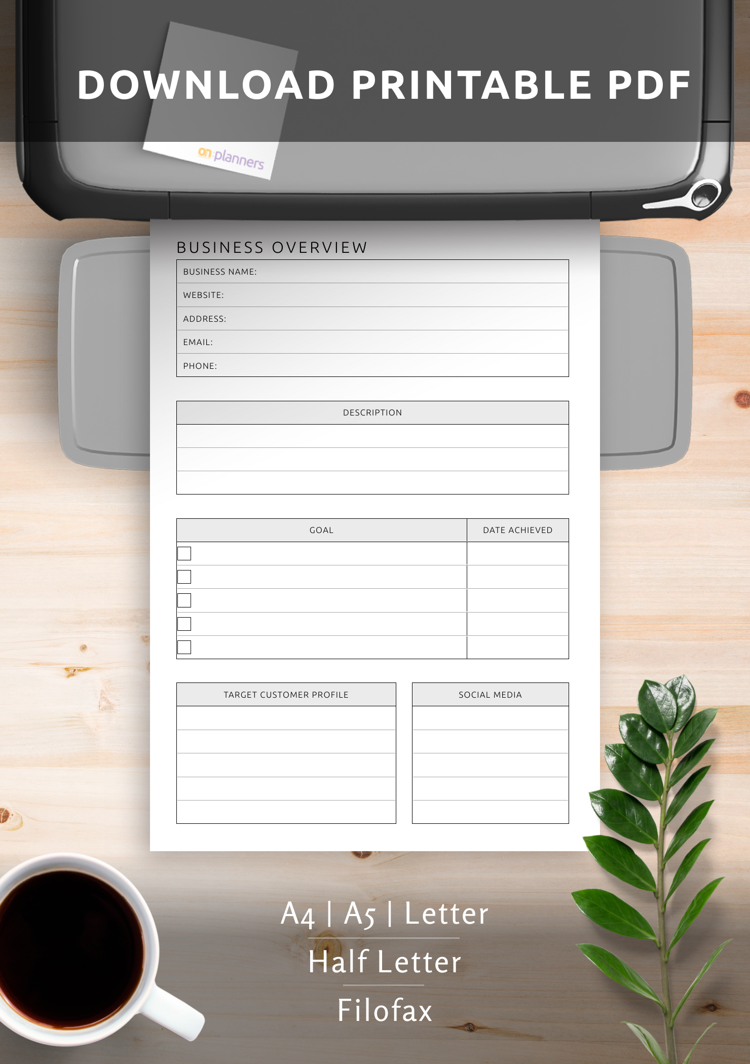 Download Printable Business Overview Template PDF