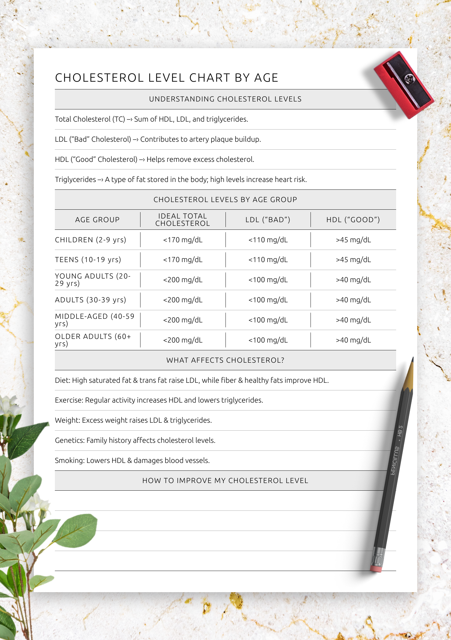 Cholesterol Levels by Age Chart – Know What’s Normal & Safe