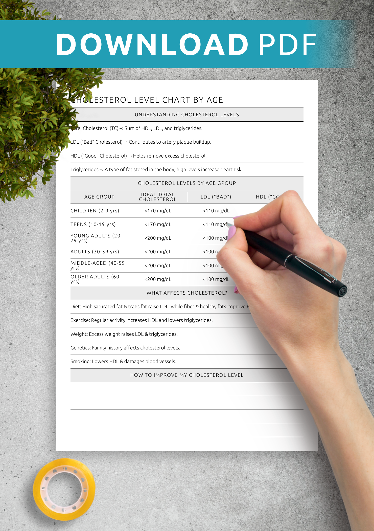 Cholesterol Levels by Age Chart – Know What’s Normal & Safe