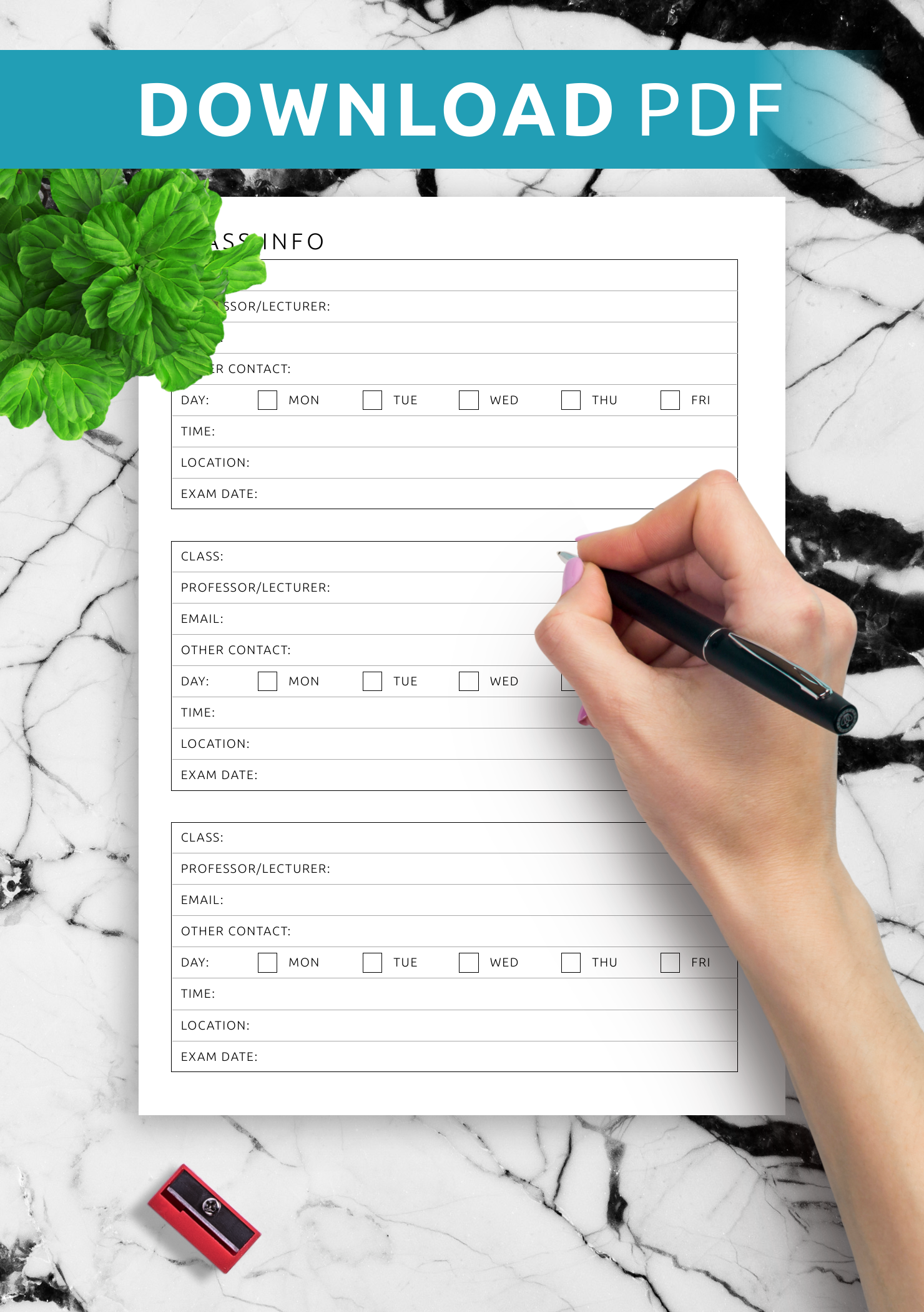 Download Printable Class Info Template PDF