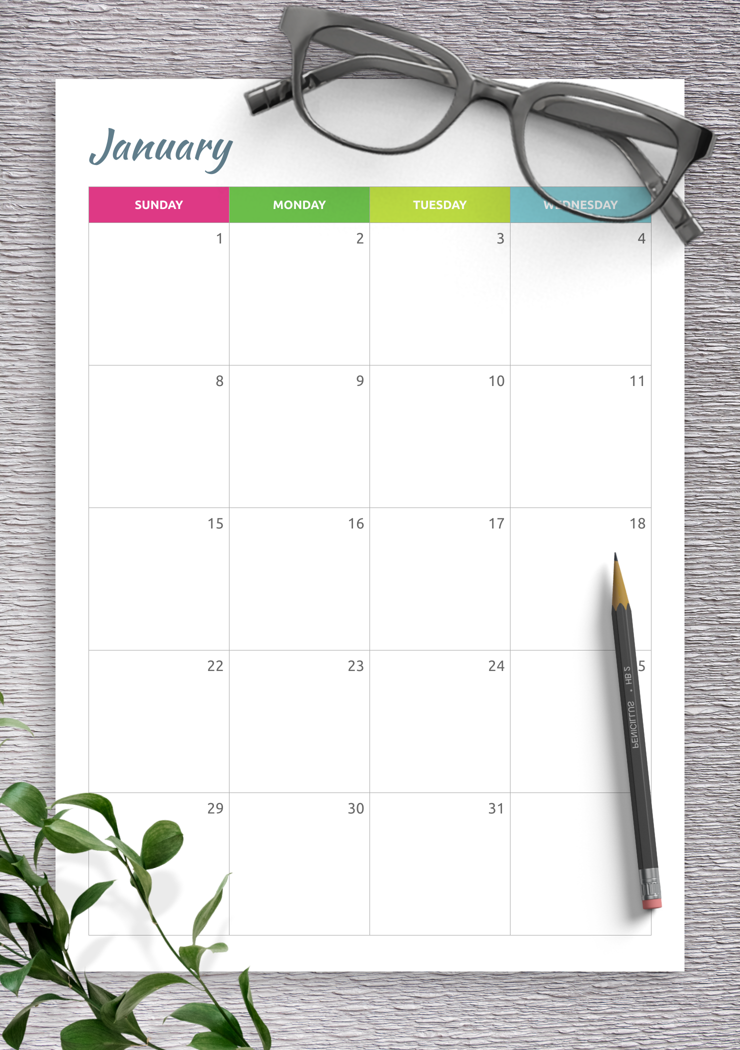 Download Printable Colored Horizontal Monthly Calendar PDF