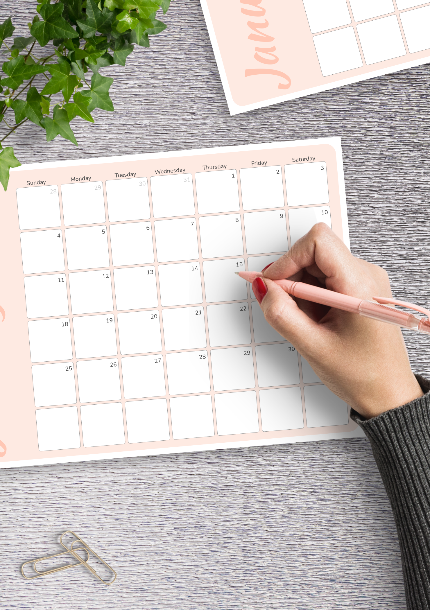 Download Printable Colored Pink Monthly Calendar PDF