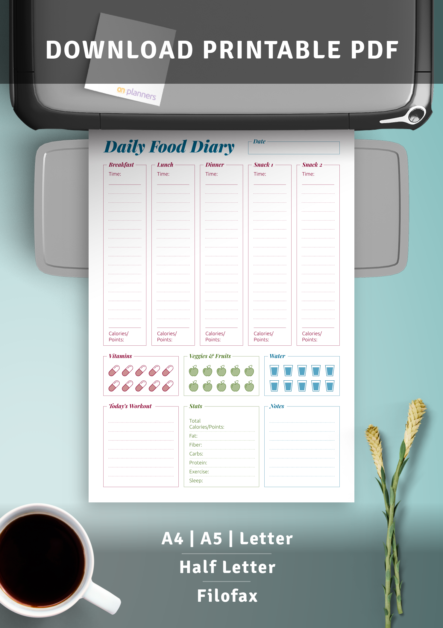 Download Printable Complex daily food diary PDF