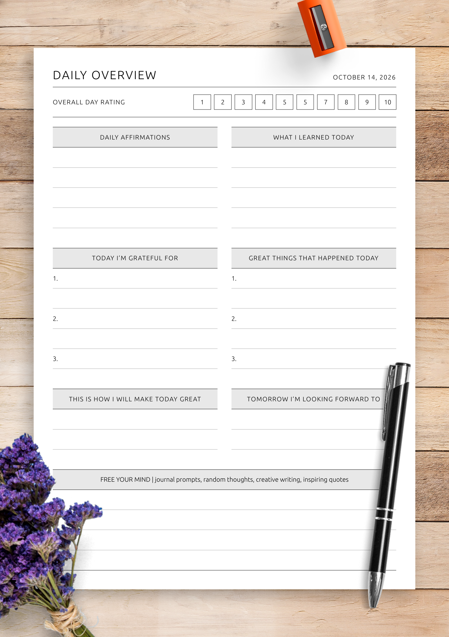 Download Daily Overview Template: Printable PDF or Digital for ...