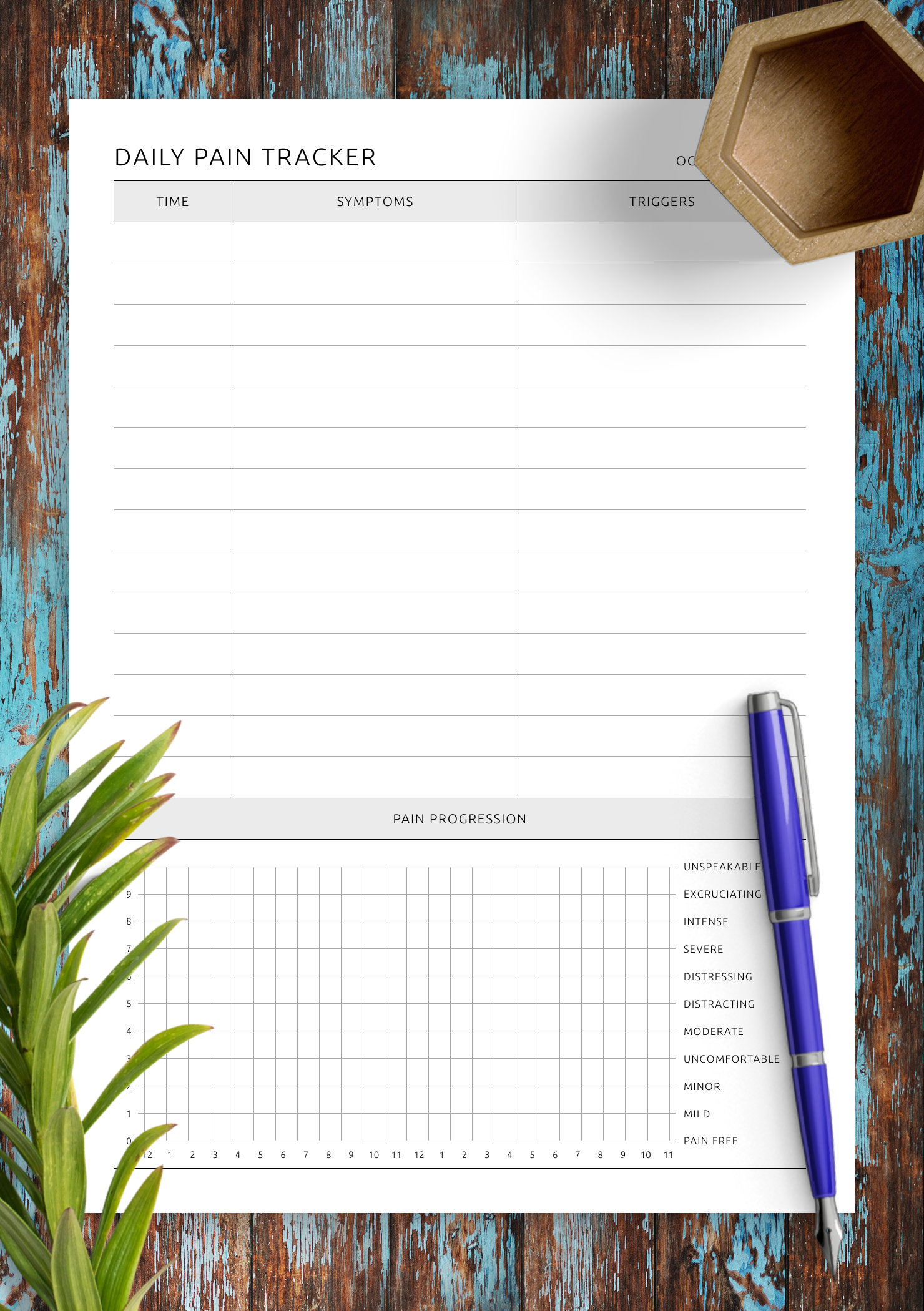 Download Printable Daily Pain Tracker Template PDF