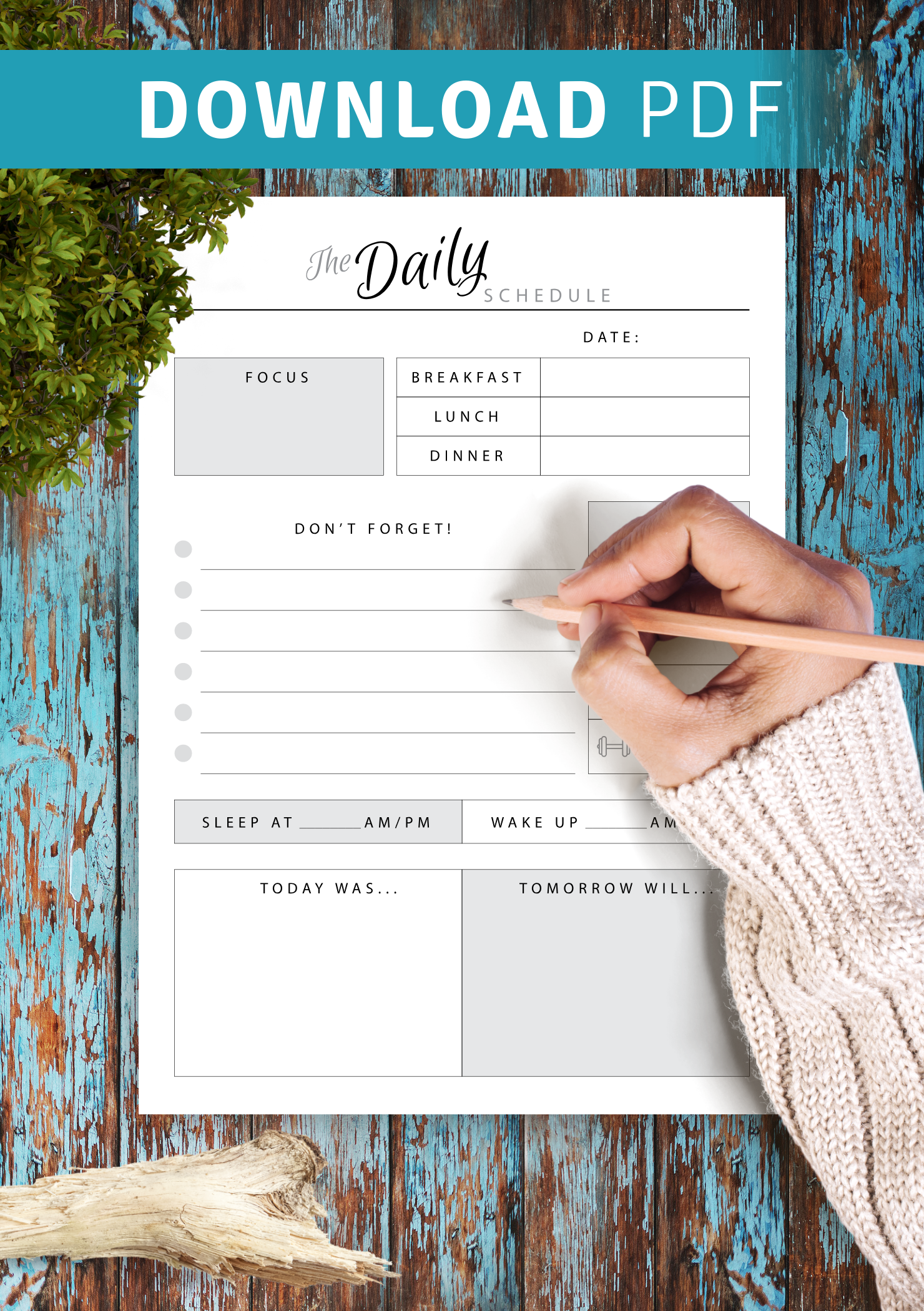 Download Printable The Daily Schedule with Health section PDF