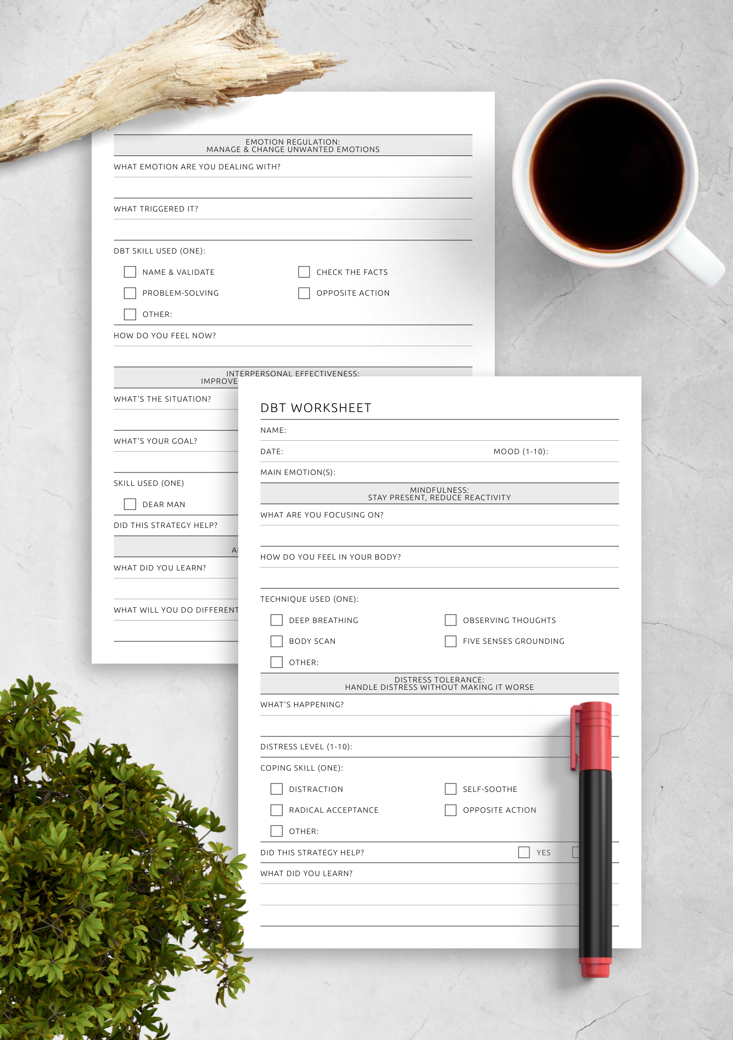 DBT Worksheet – Build Emotional Regulation & Mindfulness Skills