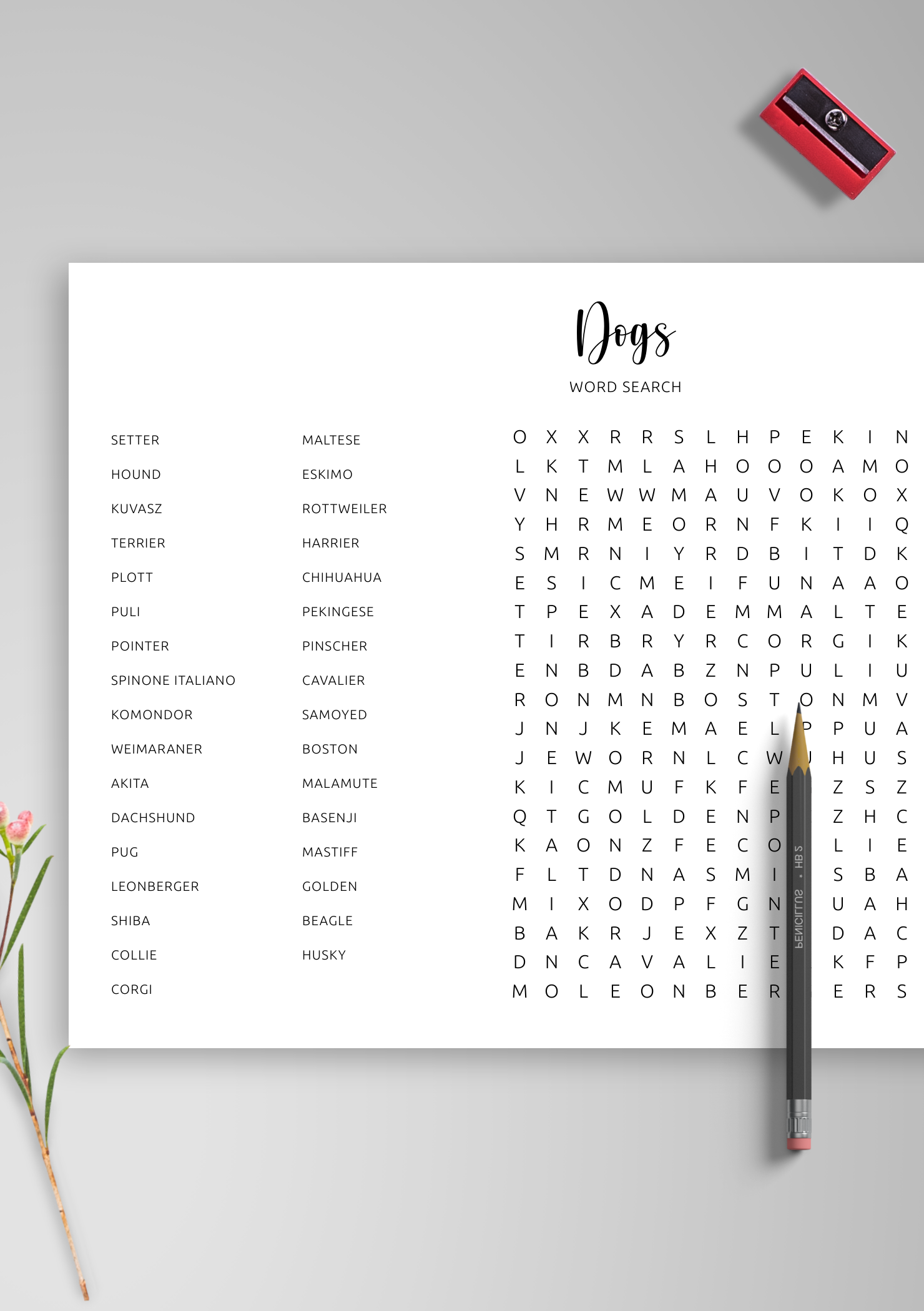 Download Printable Dog Breeds Word Search in PDF