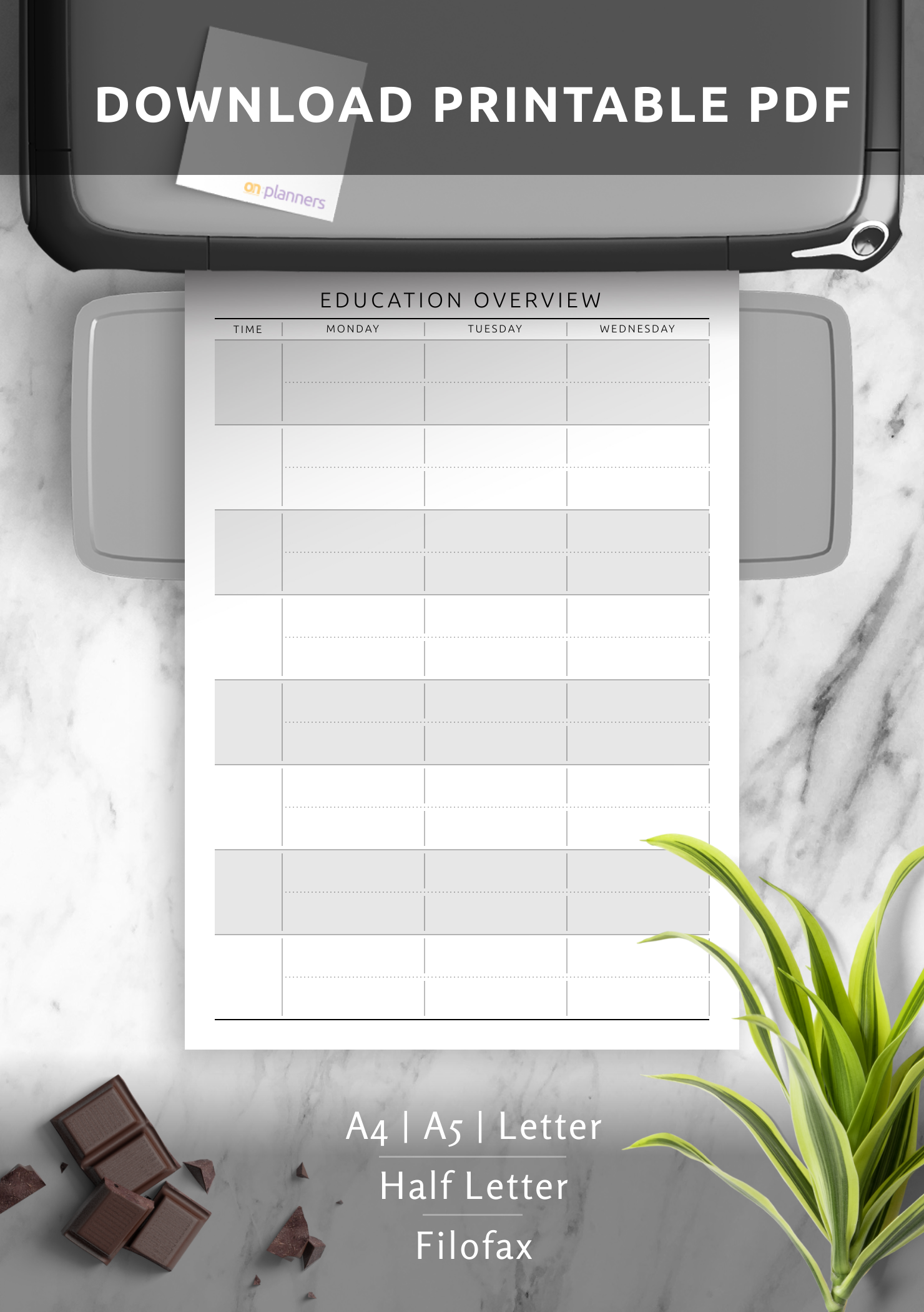 Download Printable Education Overview Template PDF