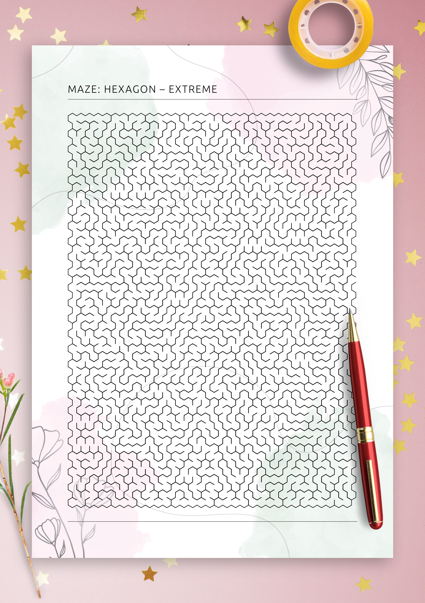Download Printable Extreme Hexagon Maze PDF