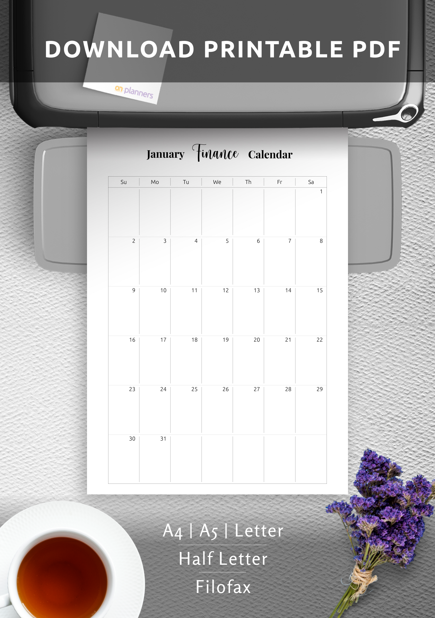 Download Printable Finance Calendar Template PDF