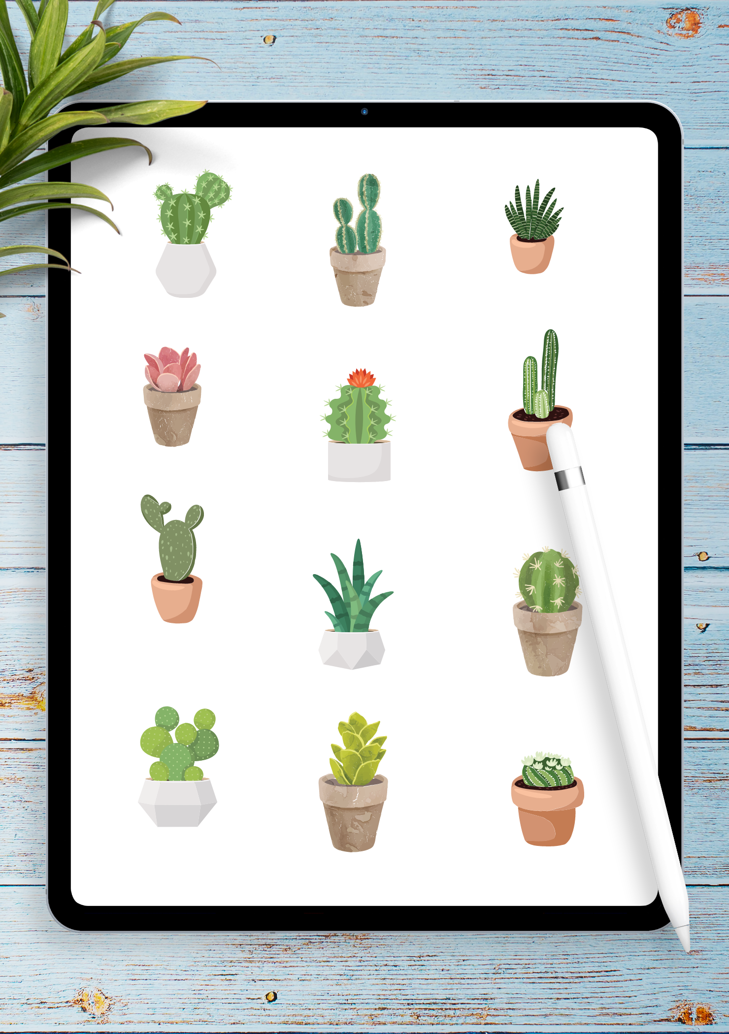 Download Wonderful Succulents Sticker Pack PNG