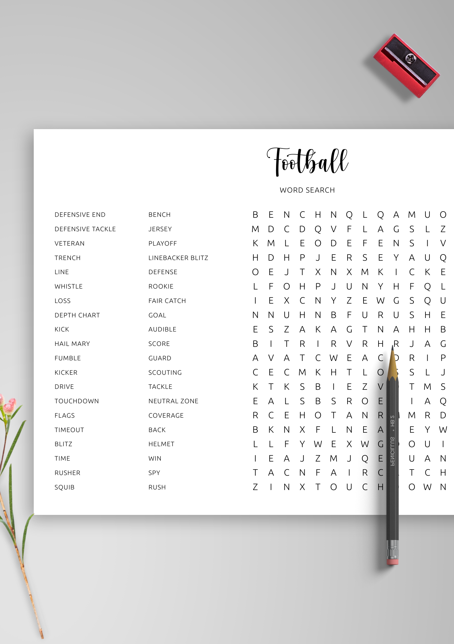 Download Printable Football Word Search in PDF