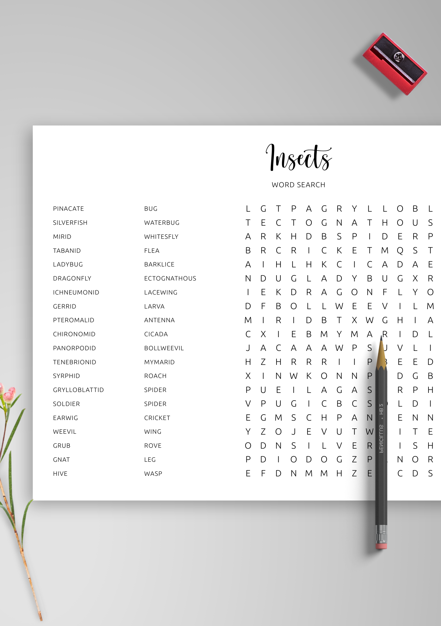 Download Printable Bugs Word Search in PDF