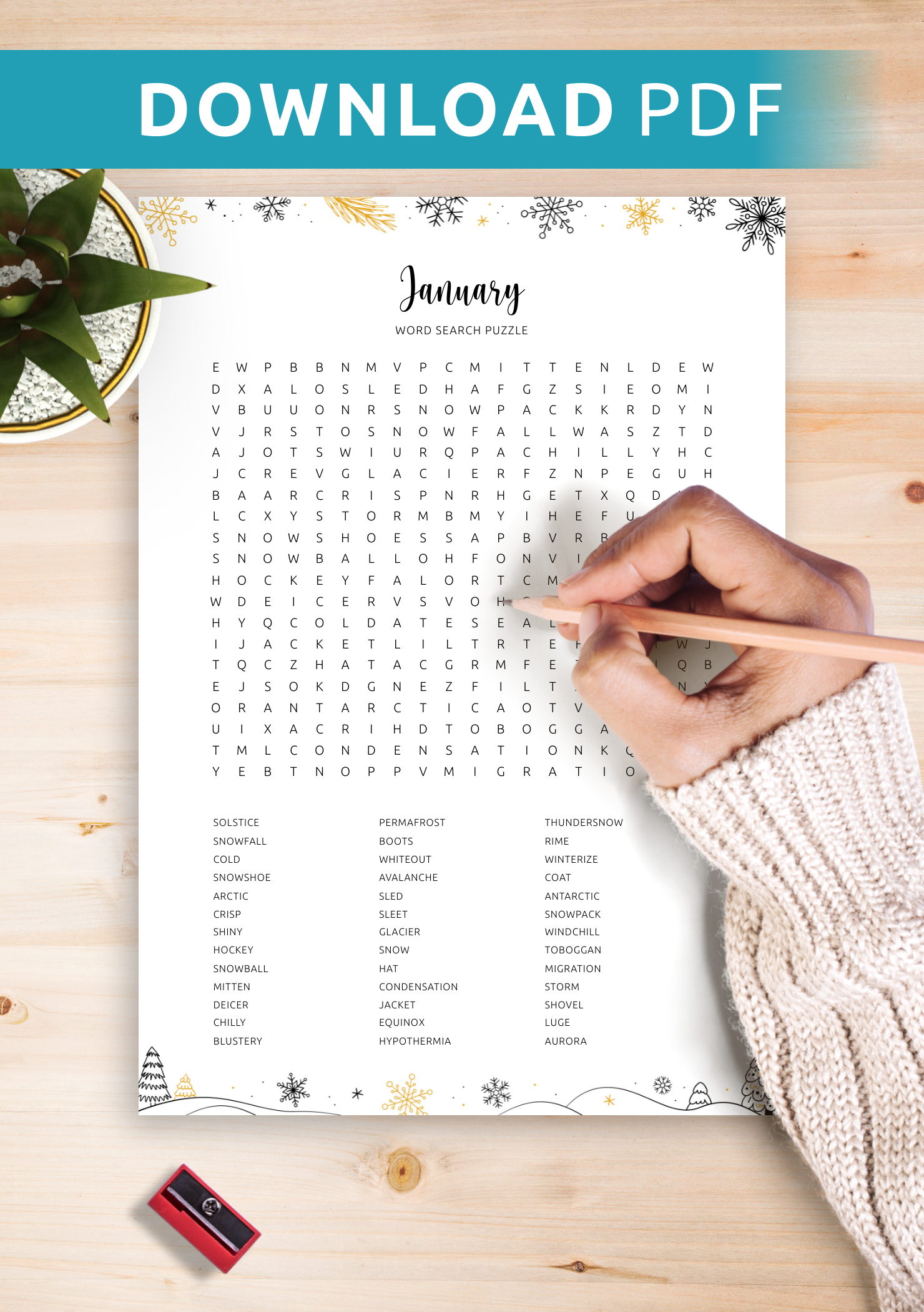 Download Printable January Word Search in PDF