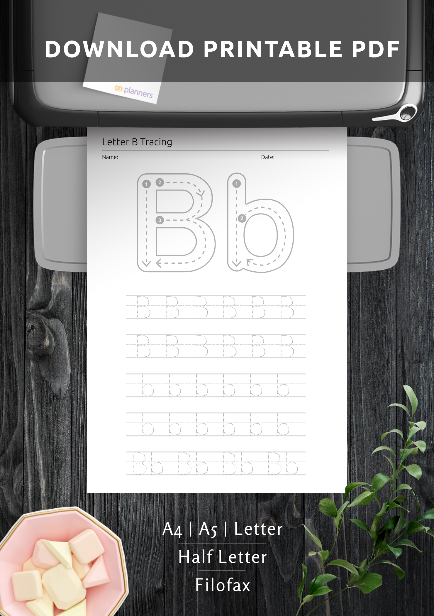 Download Letter B Practice Sheets for Kids Printable PDF