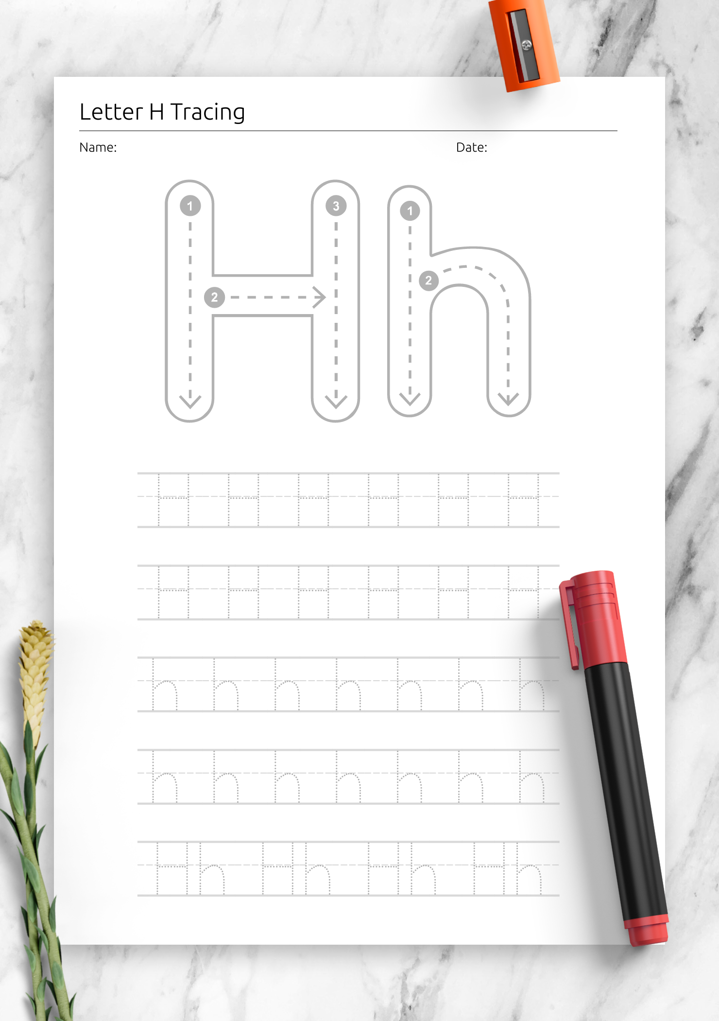 Download Letter H Tracing Worksheet for Kids Printable PDF