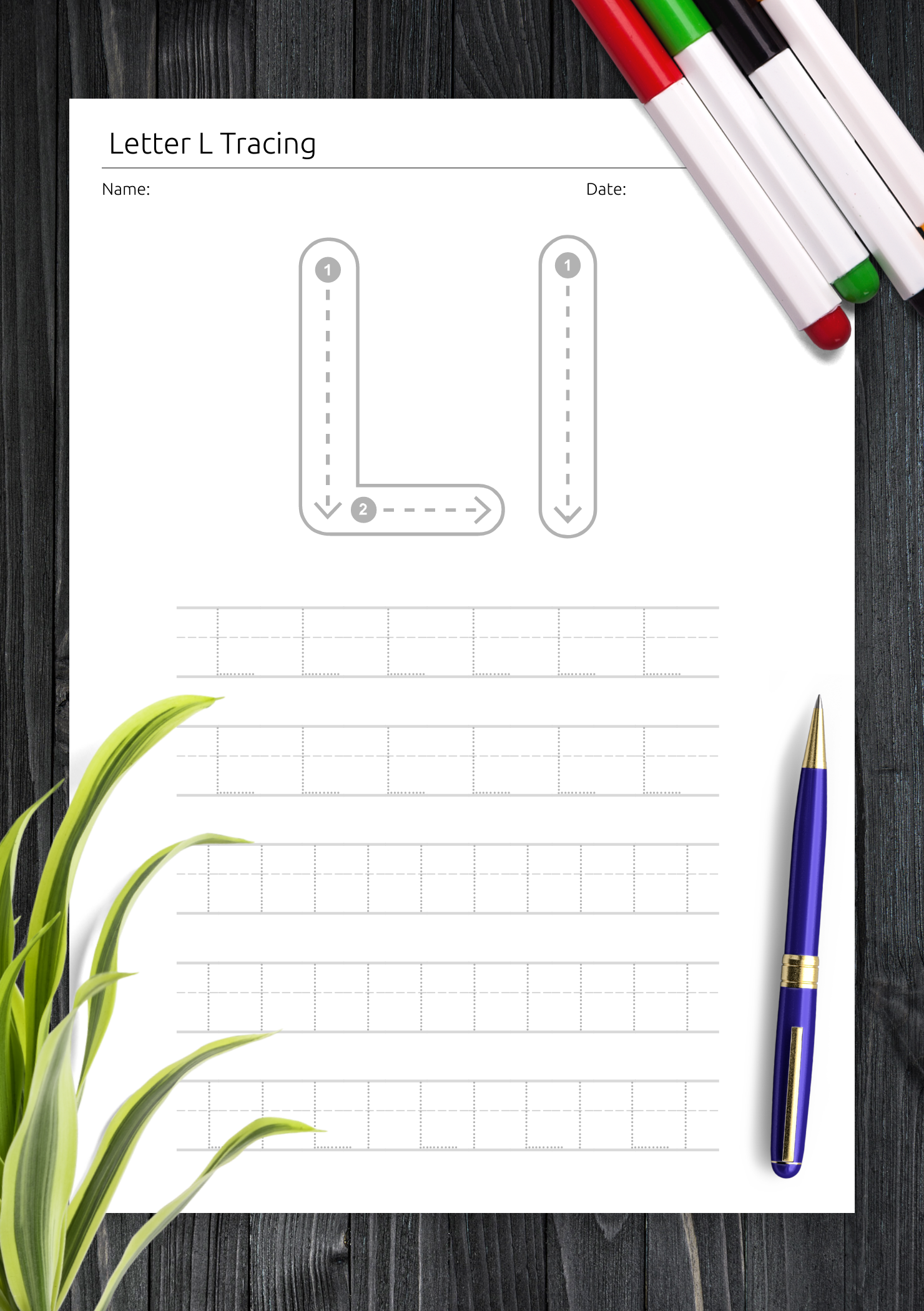 Download Letter L Tracing for Kids Printable PDF